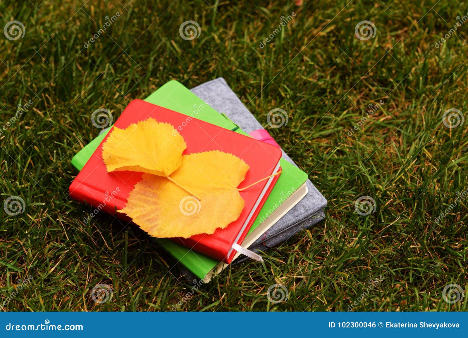 Colorful notebook stock photo. Image of leaf, education - 102300046
