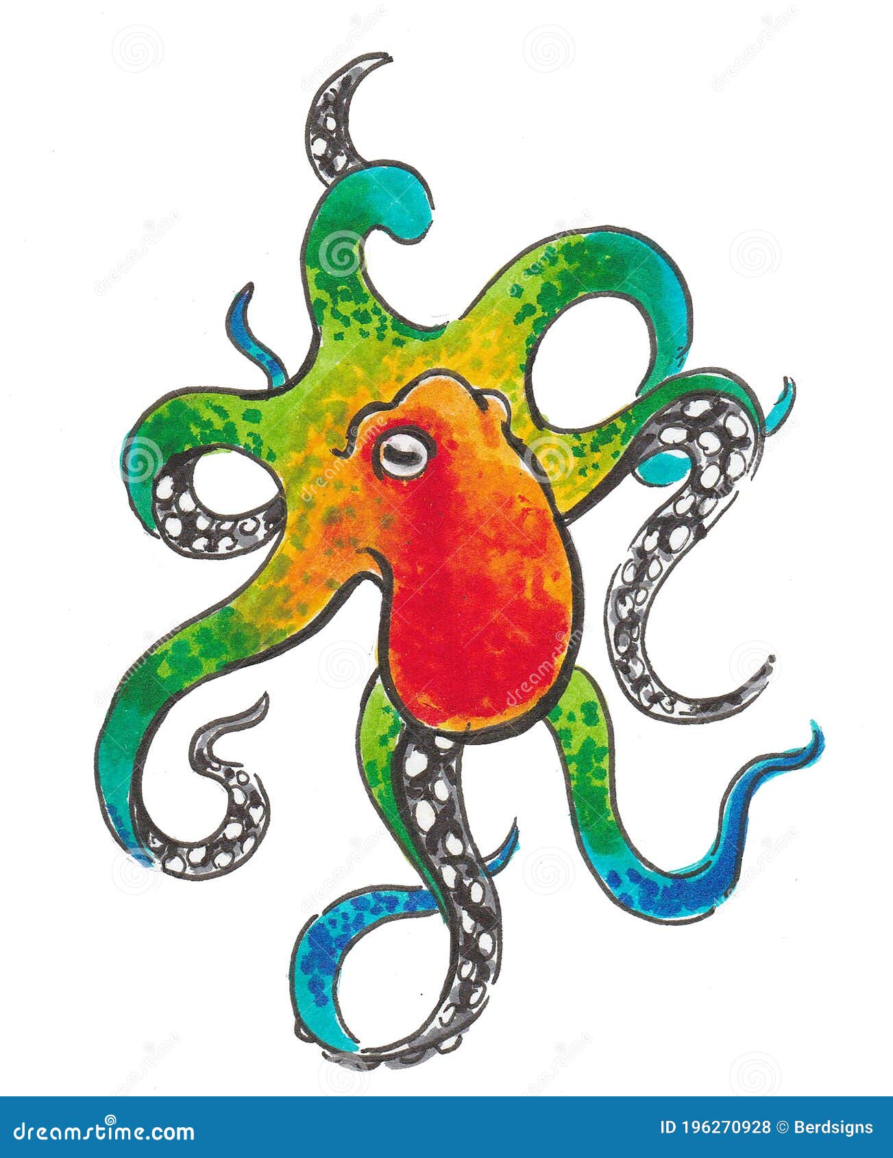 Colorful Octopus Drawings
