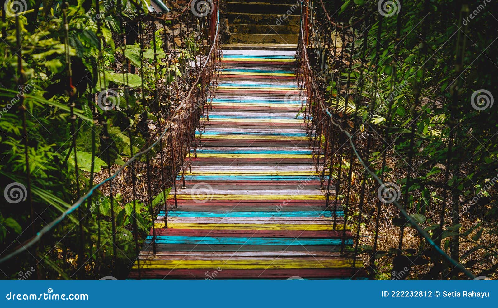 Colorful Old Bridge In The Jungle Background Stock Photo ...