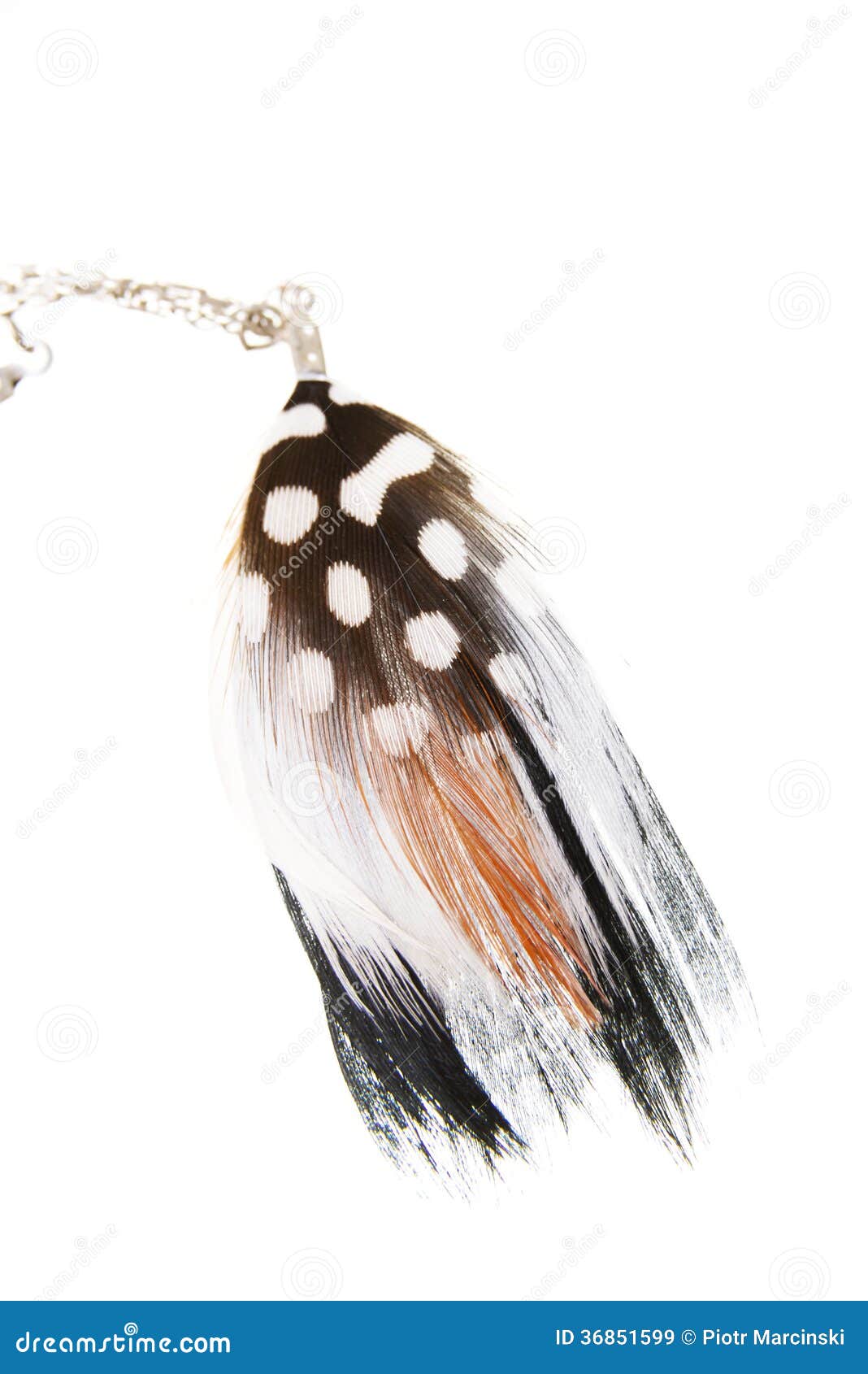 Colorful One Separated Feather- Earring. Stock Illustration ...