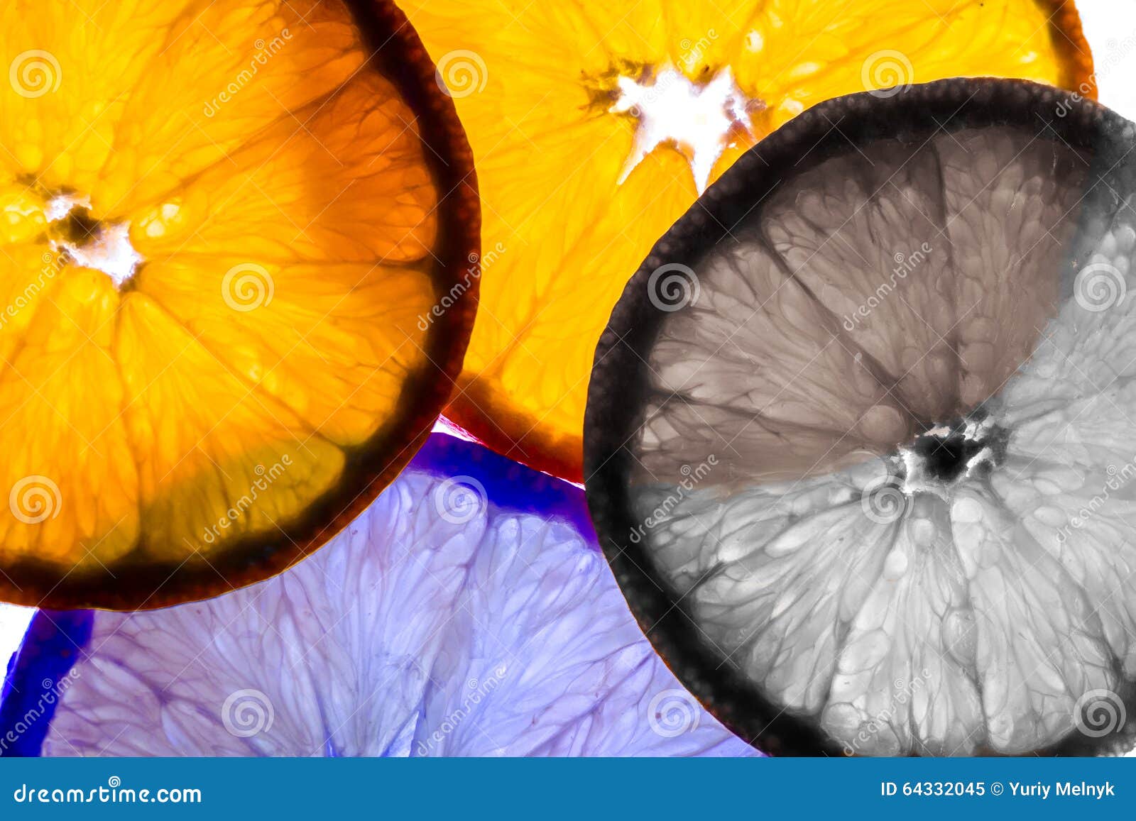 Colorful orange slices stock image. Image of food, macro - 64332045