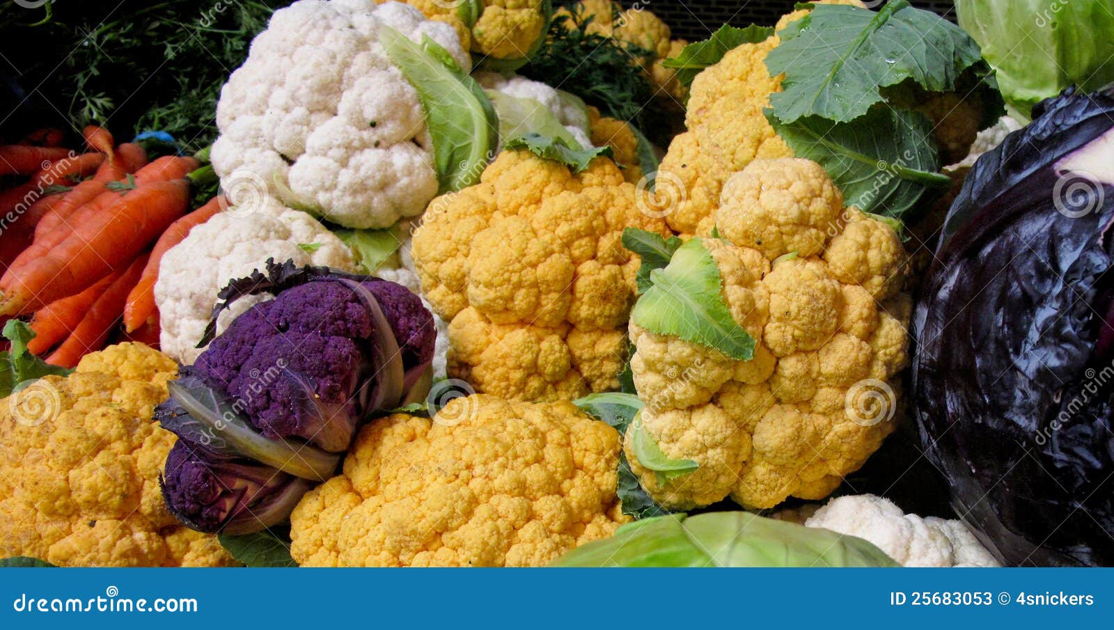 Colorful organic vegis stock image. Image of vegetables - 25683053