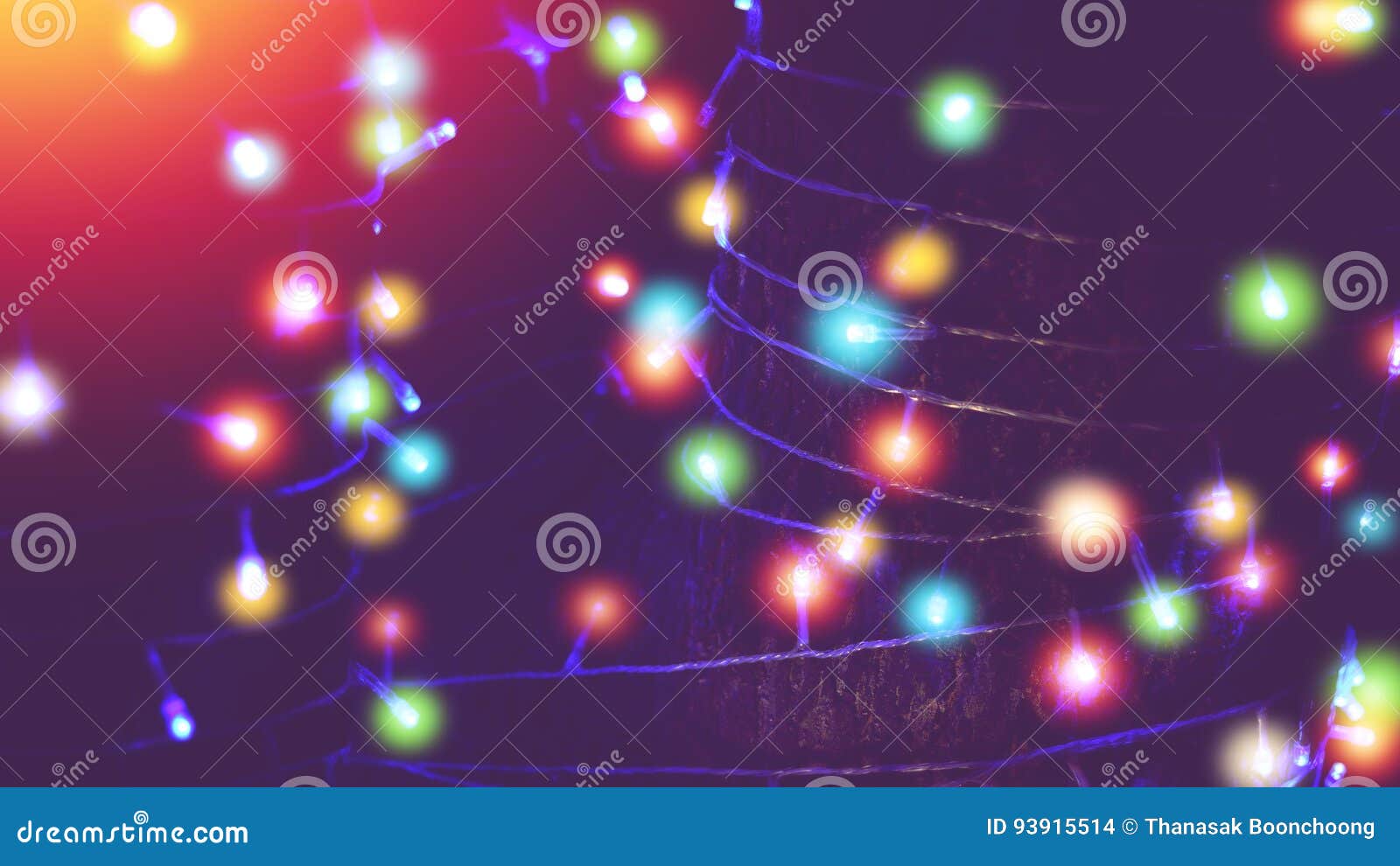 Colorful Outdoor String Lights Wrapped Around Tree Stock Photo - Image ...