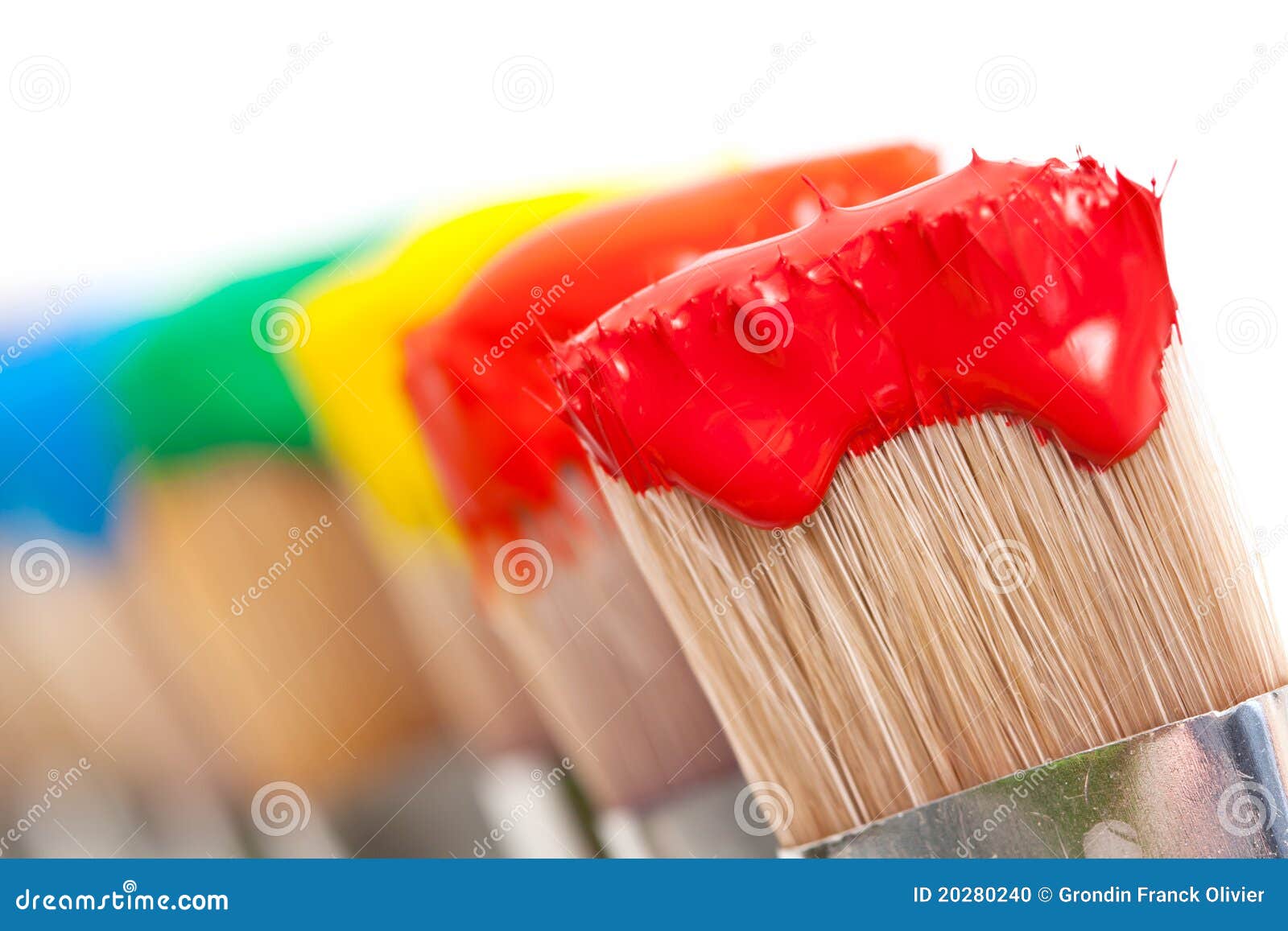 Colorful paint on brushes stock photo. Image of background - 20280240
