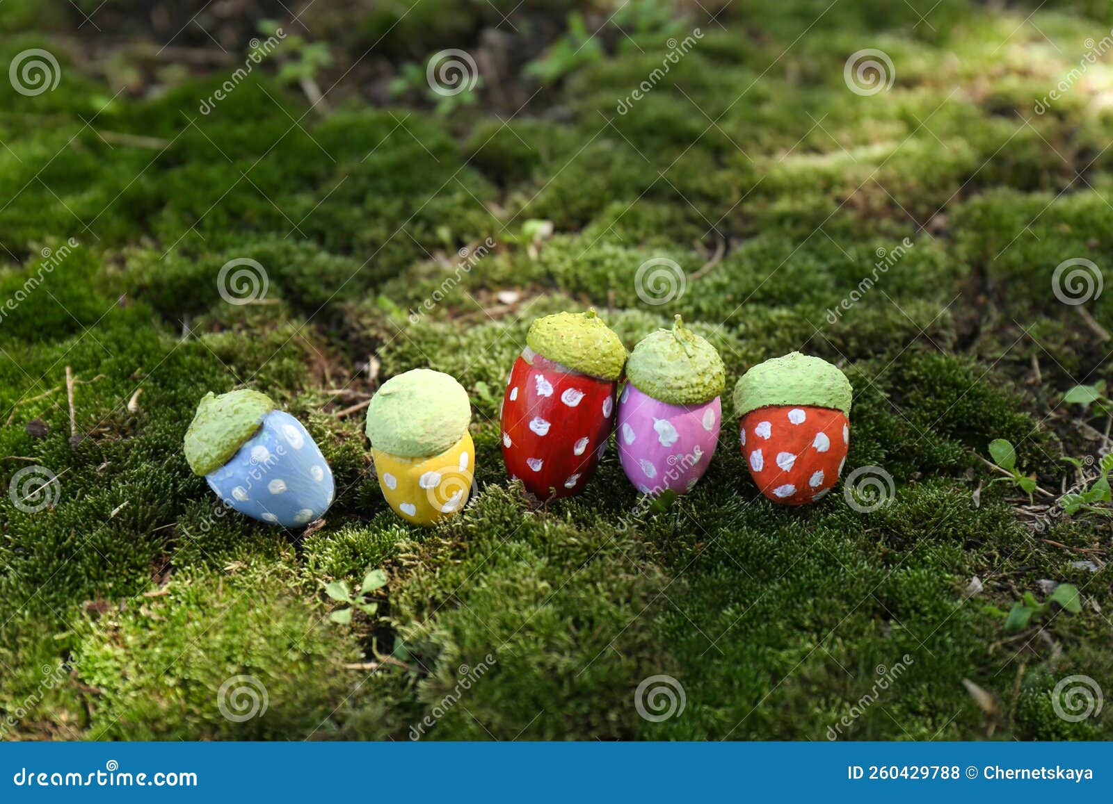 Colorful Painted Acorns with Polka Dot Pattern on Green Moss Outdoors ...