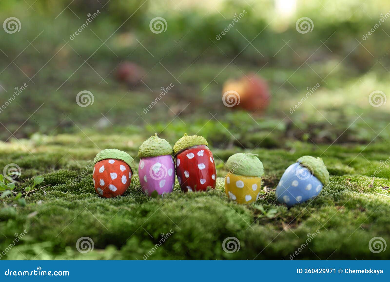 Colorful Painted Acorns with Polka Dot Pattern on Green Moss Outdoors ...