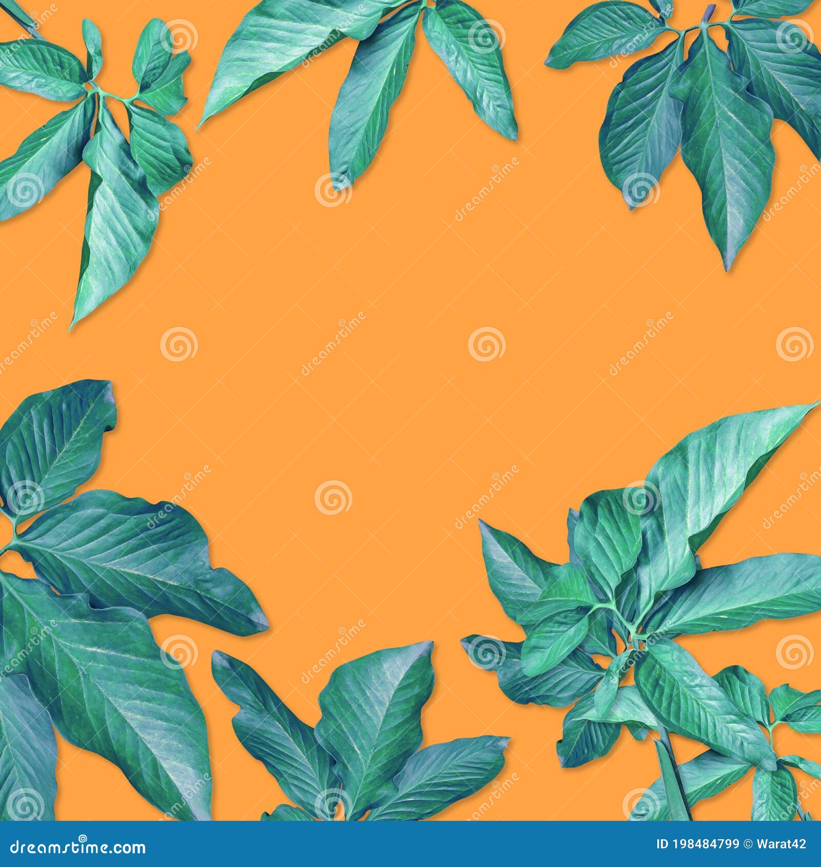 Colorful Palm Leaves Pattern For Nature Concept Tropical Leaf On Orange