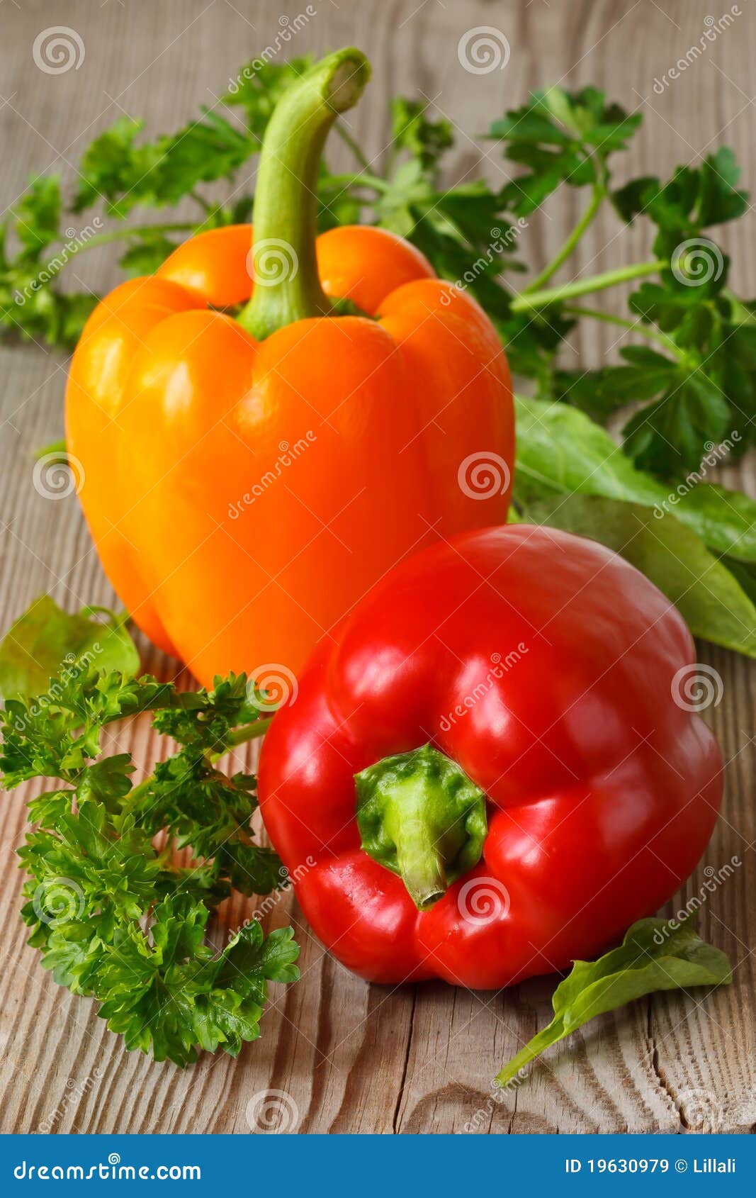 Colorful paprika. stock image. Image of color, fruit - 19630979
