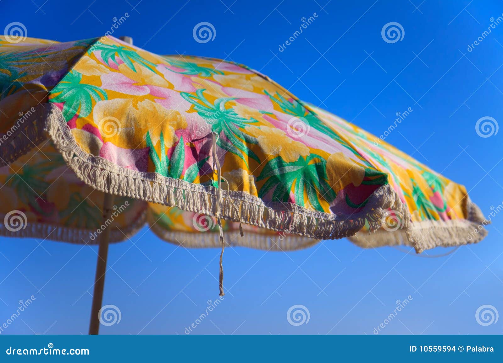Colorful parasol 4 stock photo. Image of ocean, green - 10559594