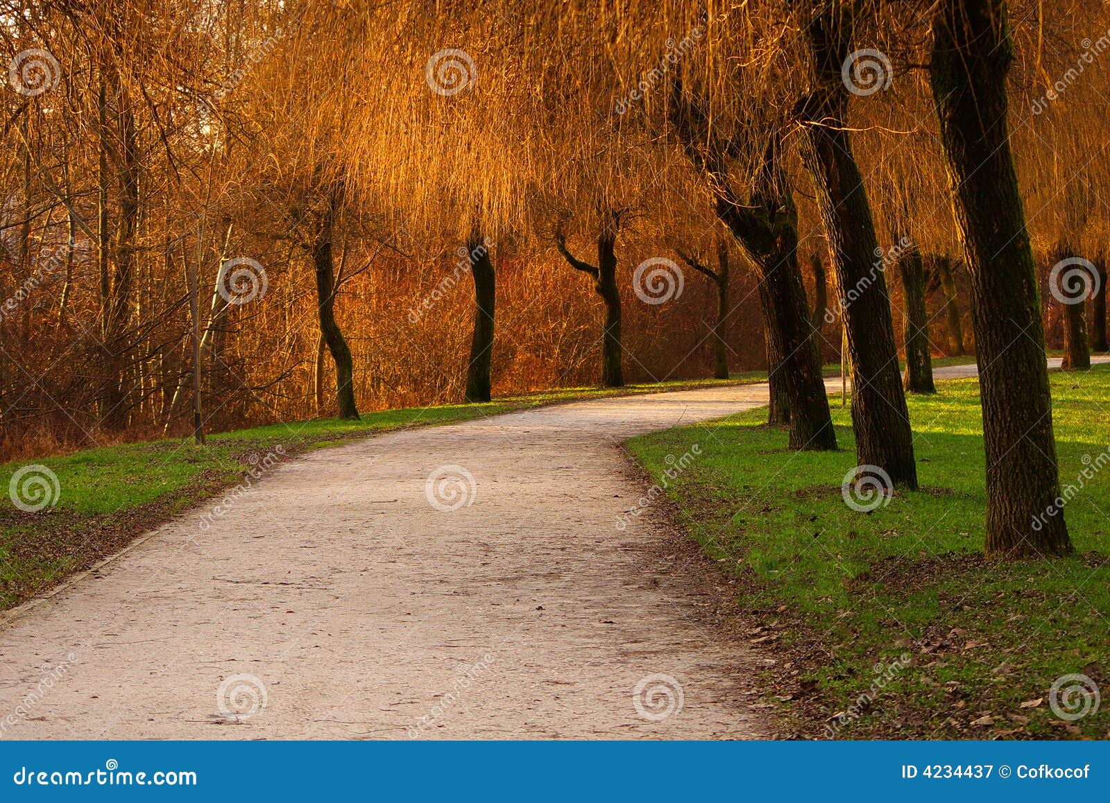 Colorful park stock image. Image of atmosphere, branch - 4234437