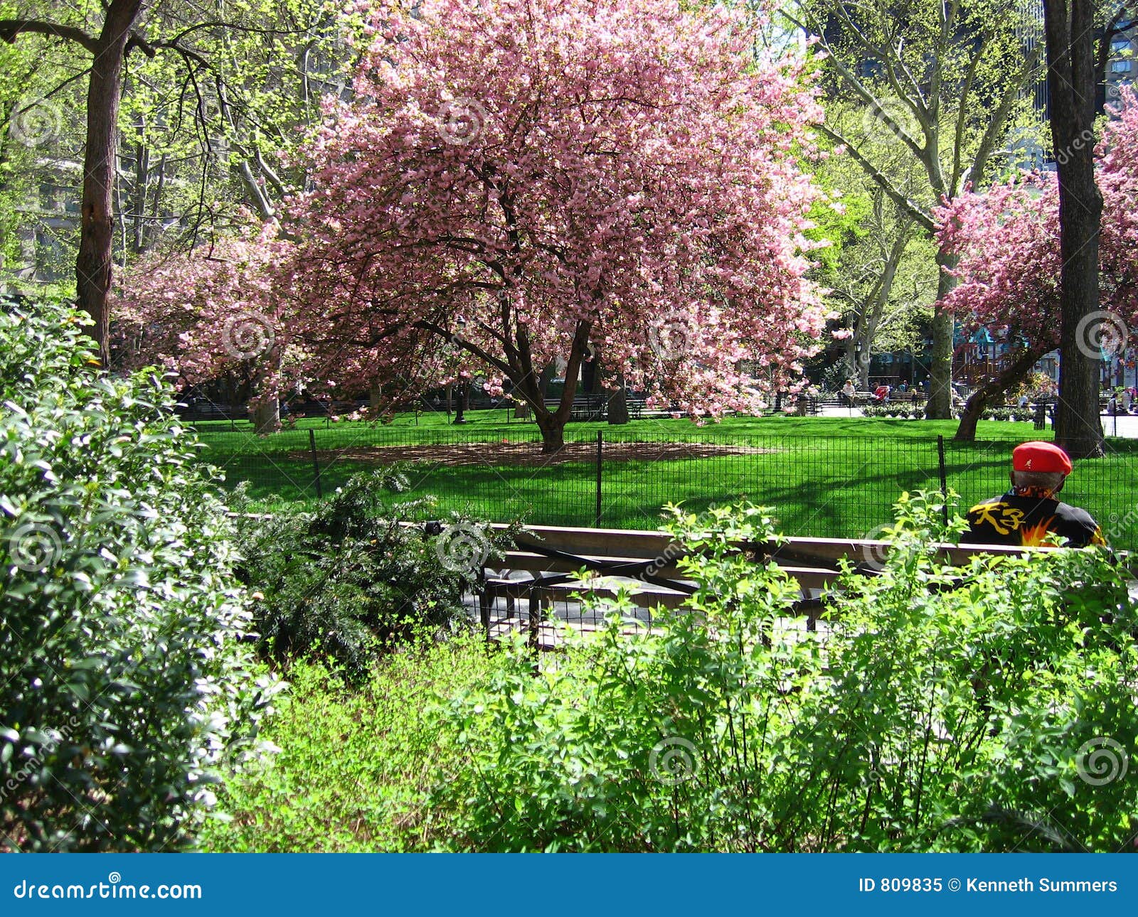 Colorful park stock image. Image of happy, plant, sitting - 809835