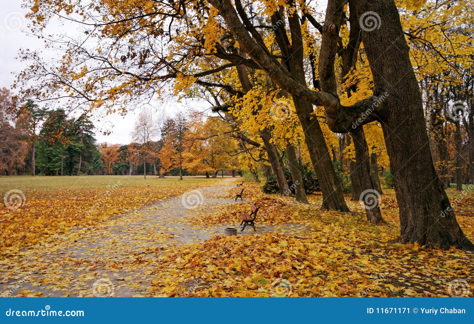 Colorful park during fall stock image. Image of foliage - 11671171