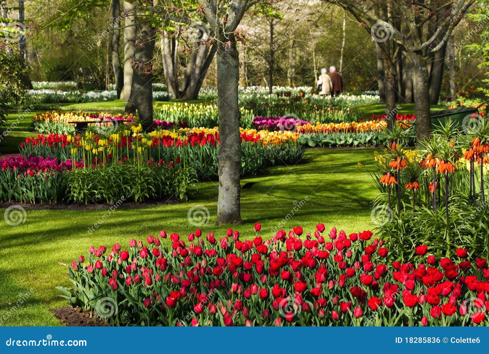 Colorful park in spring stock photo. Image of natural - 18285836