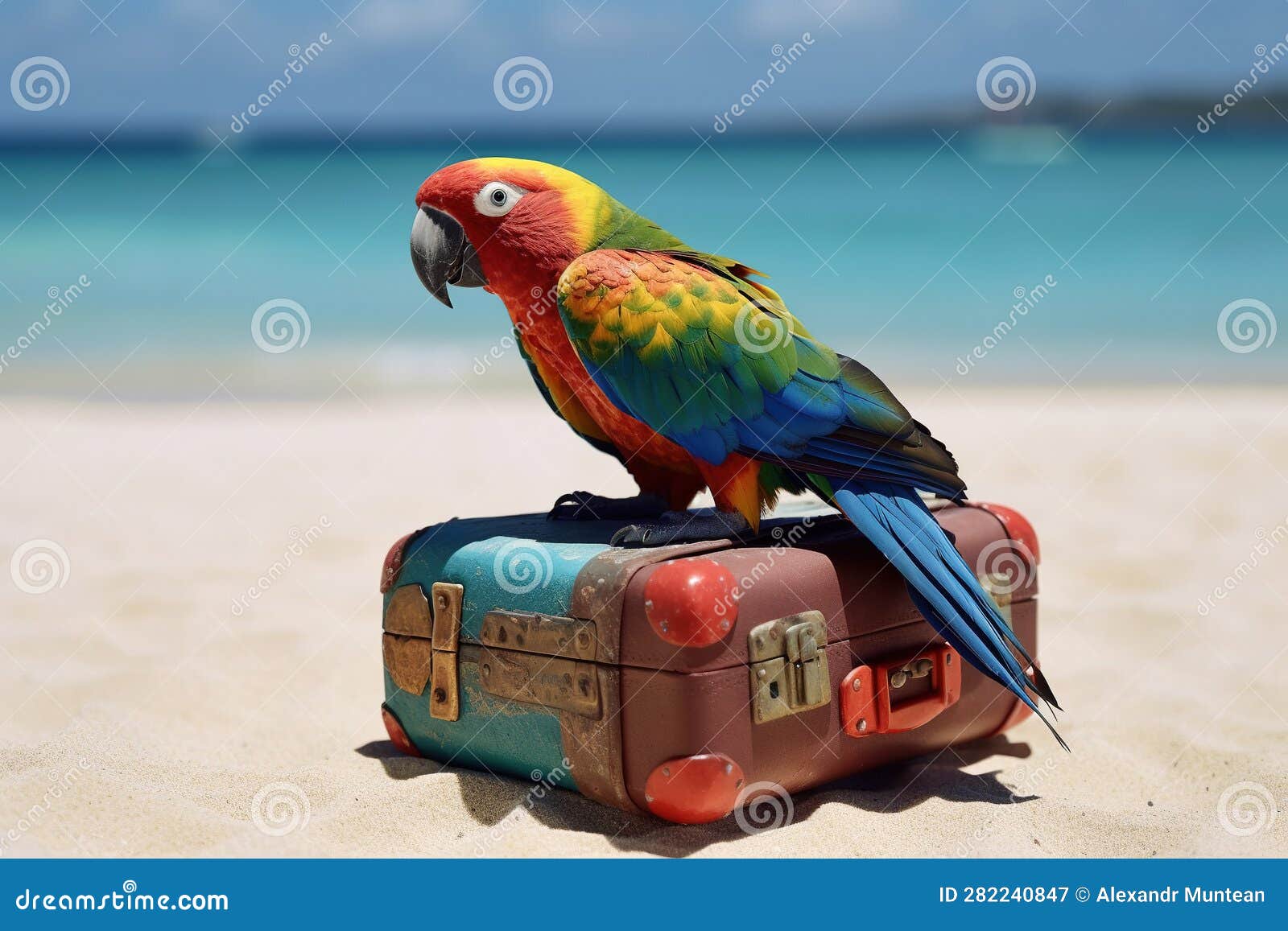 Colorful Parrot on Suitcase, Vacation Concept Stock Image - Image of ...