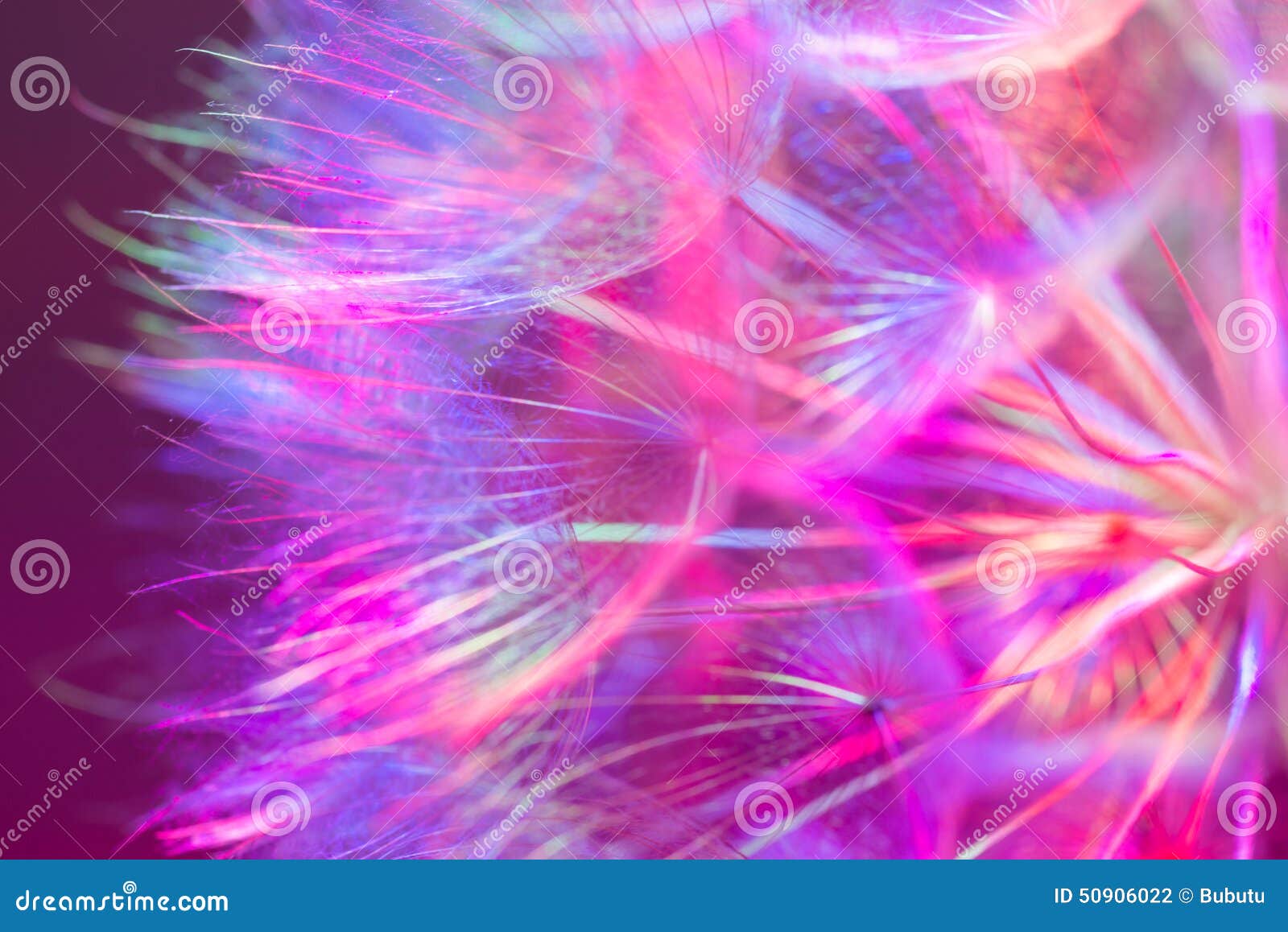 Colorful Pastel Background - Vivid Abstract Dandelion Flower Stock ... Colorful Pastel Background - Vivid Abstract Dandelion Flower Stock ...