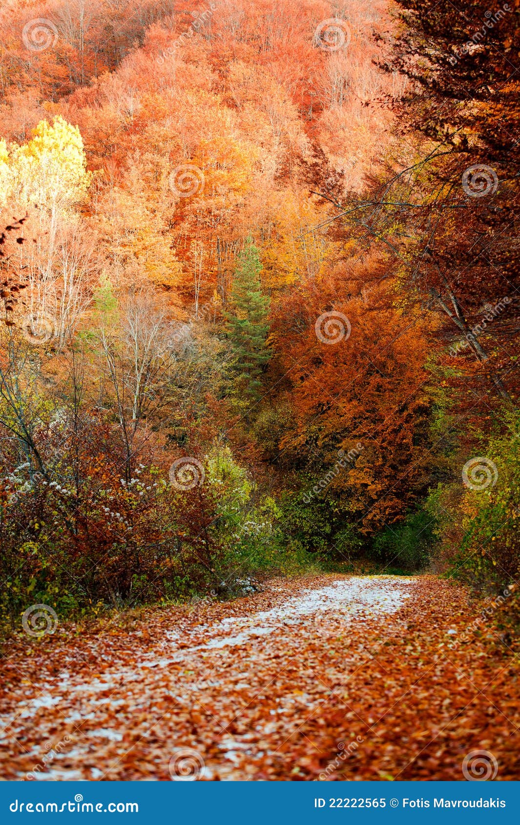 Colorful path stock image. Image of colour, trekking - 22222565