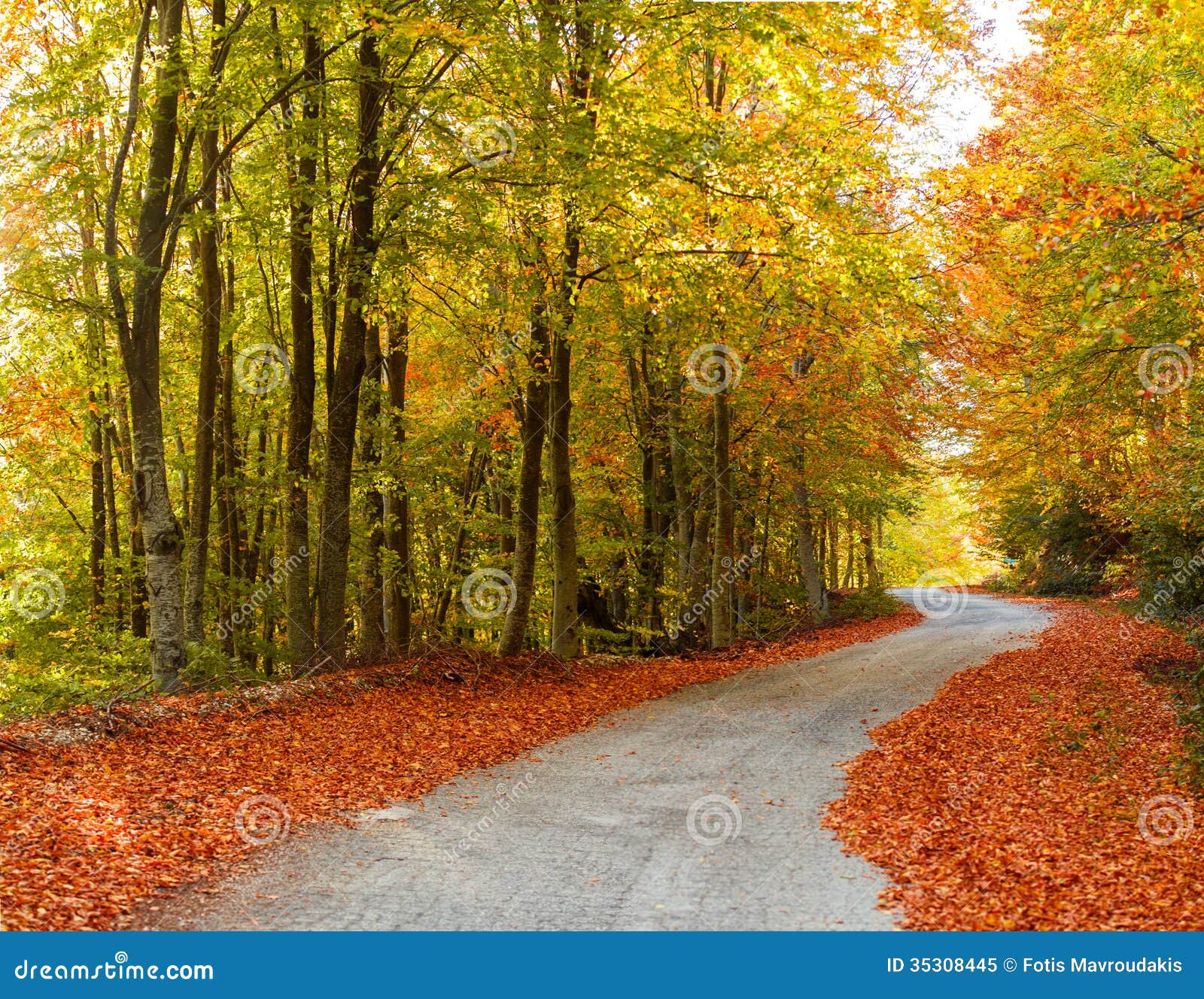 Colorful path stock image. Image of peace, autumn, orange - 35308445