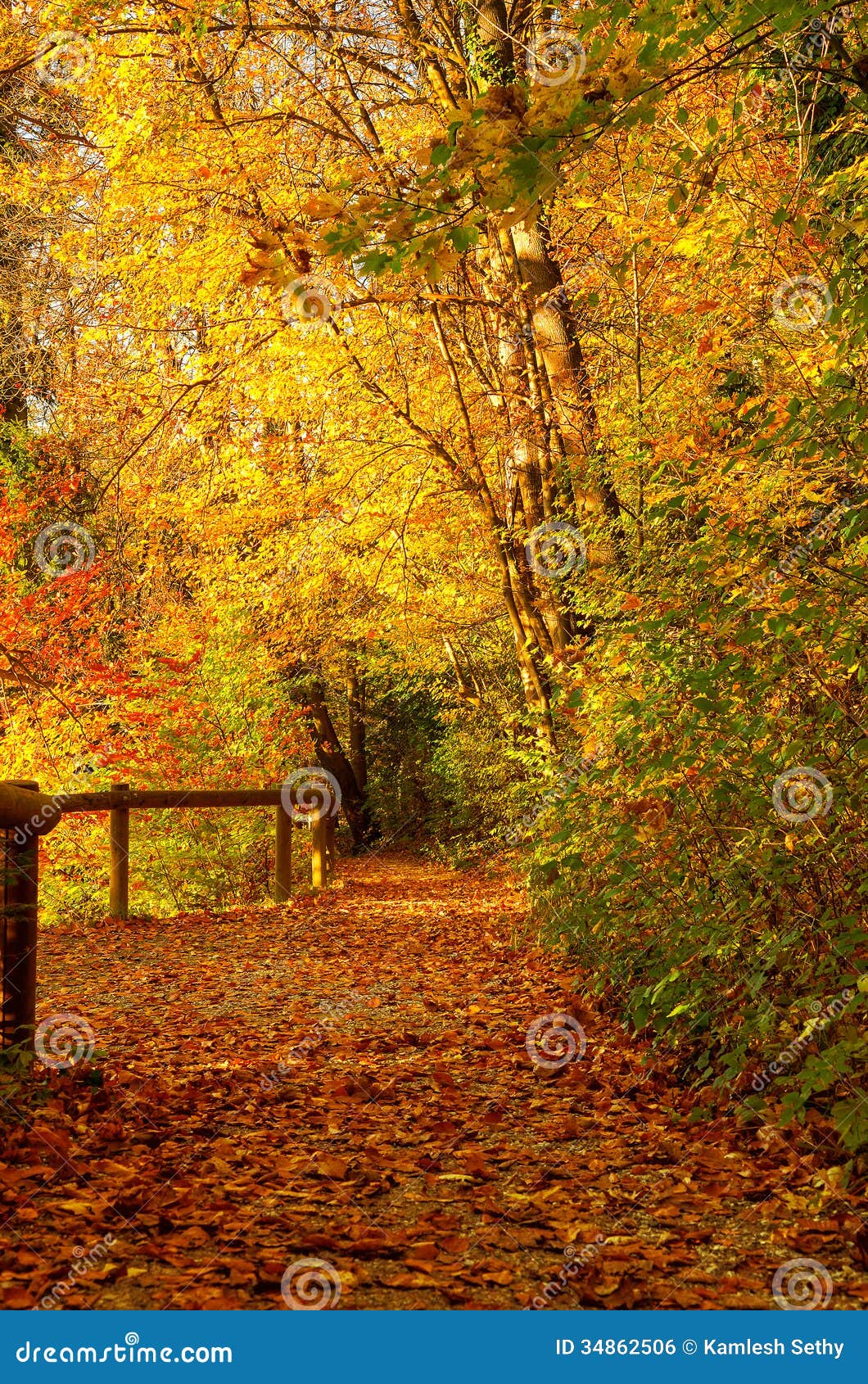 Colorful path stock photo. Image of beauty, lake, landscape - 34862506