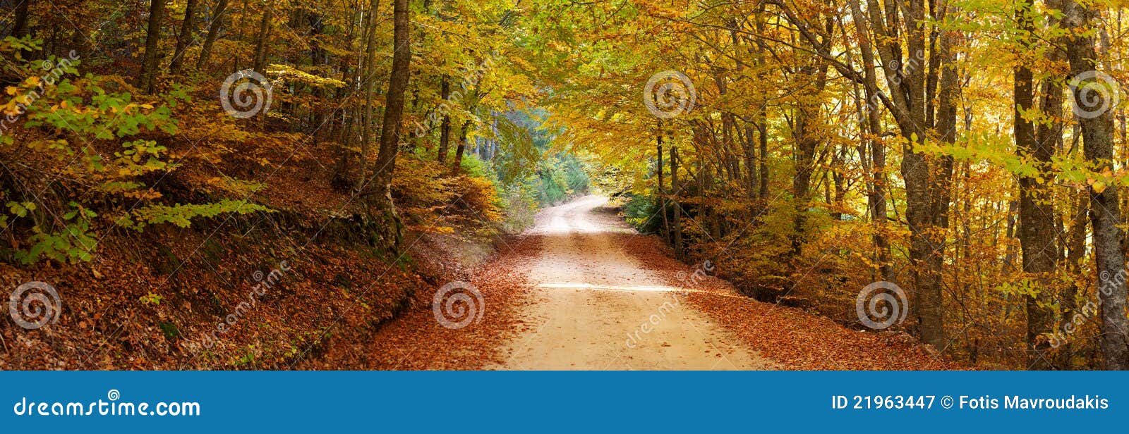 Colorful path panorama stock image. Image of lane, nature - 21963447
