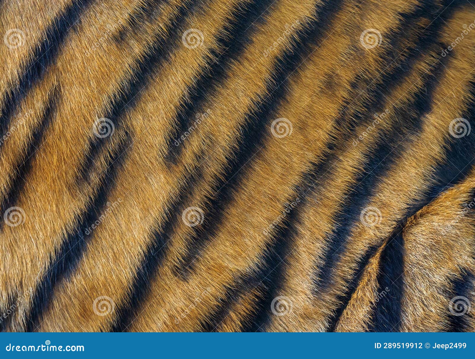 Colorful Patterns of Tiger. Stock Photo - Image of textured, material ...