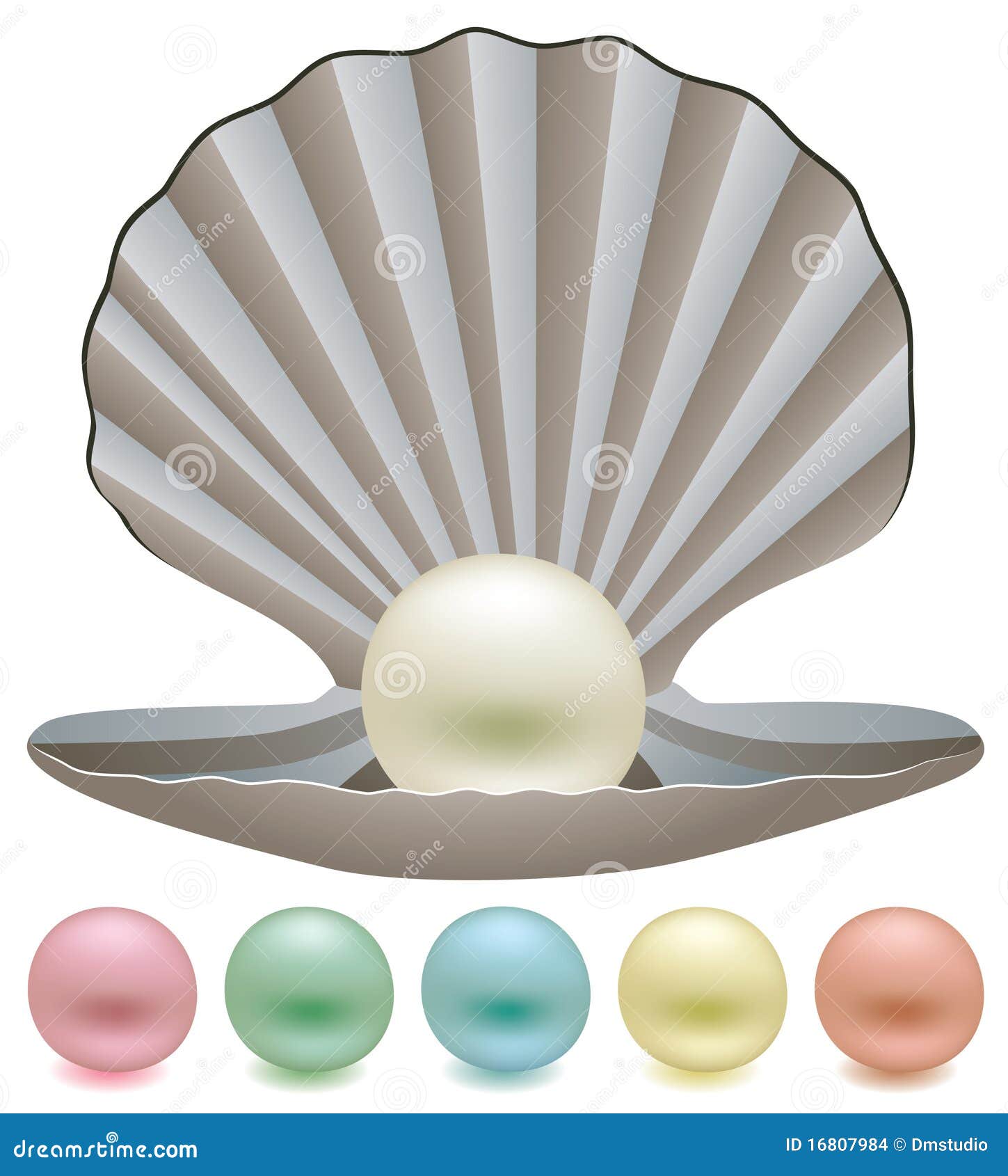 Colorful Pearls and a Shell Stock Vector - Illustration of decoration ...