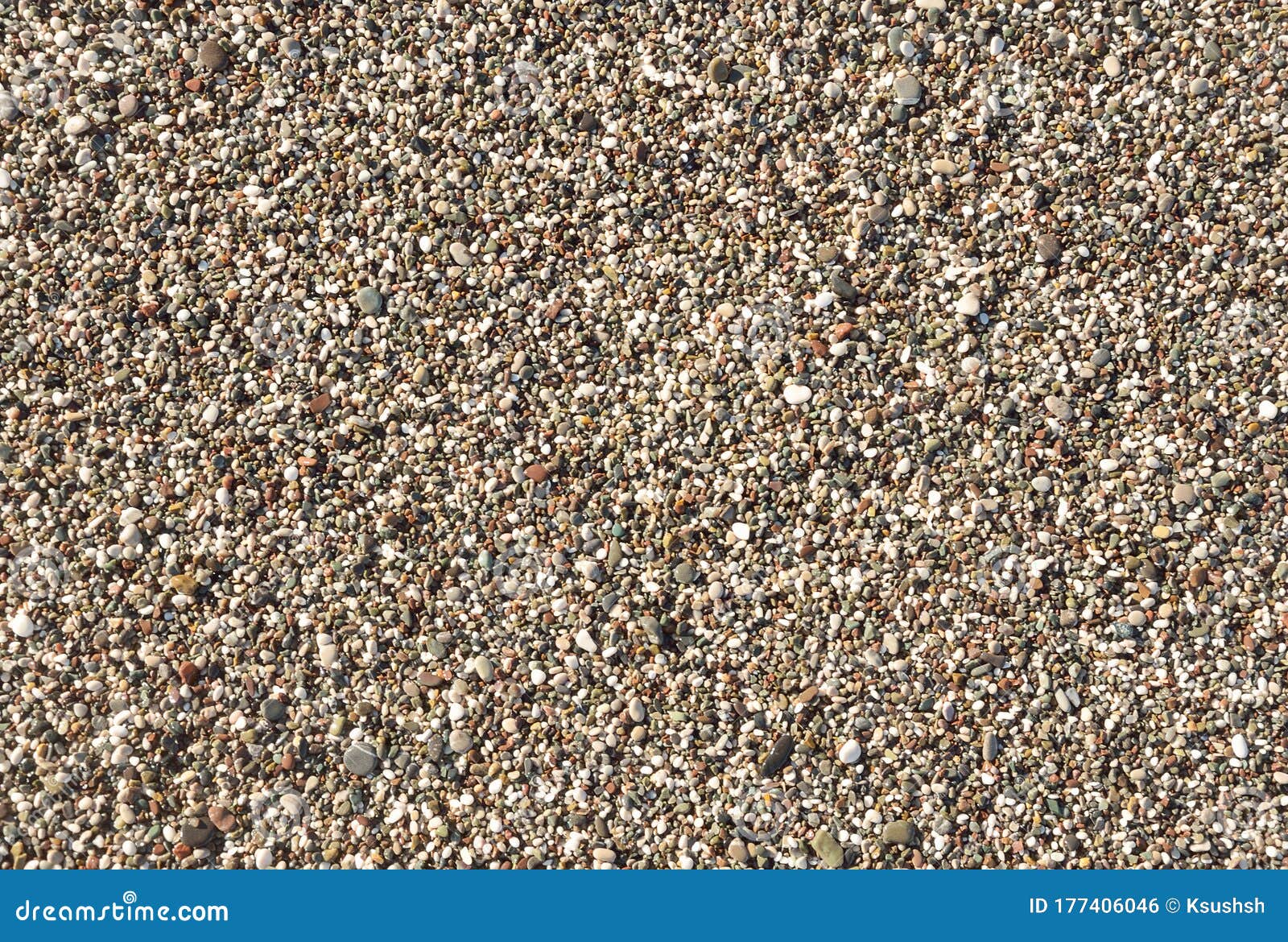 Colorful Pebbels on Sea Coast Stock Photo - Image of marine, grey ...