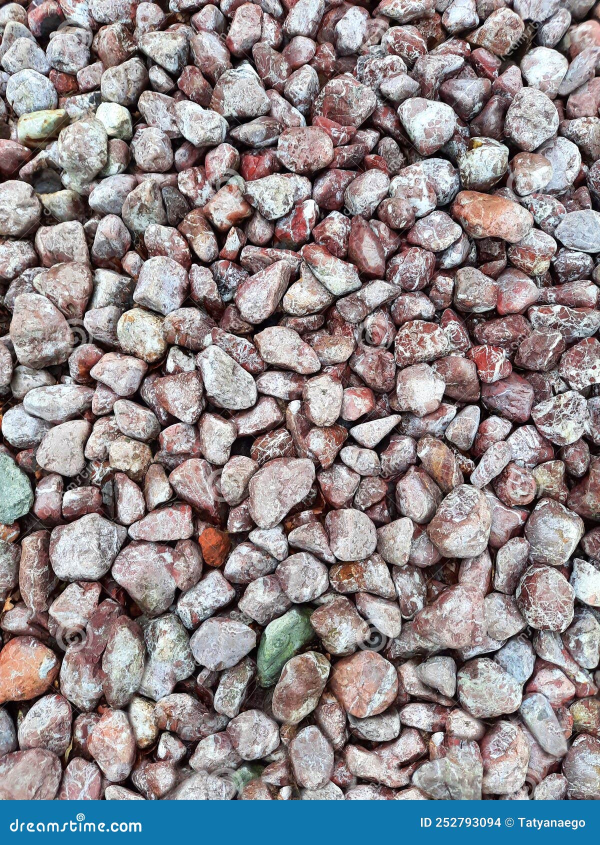 Colorful pebble background stock photo. Image of stones - 252793094