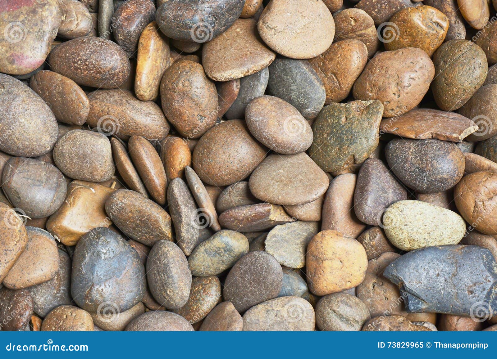 Colorful pebble stock image. Image of pebbles, boulder - 73829965