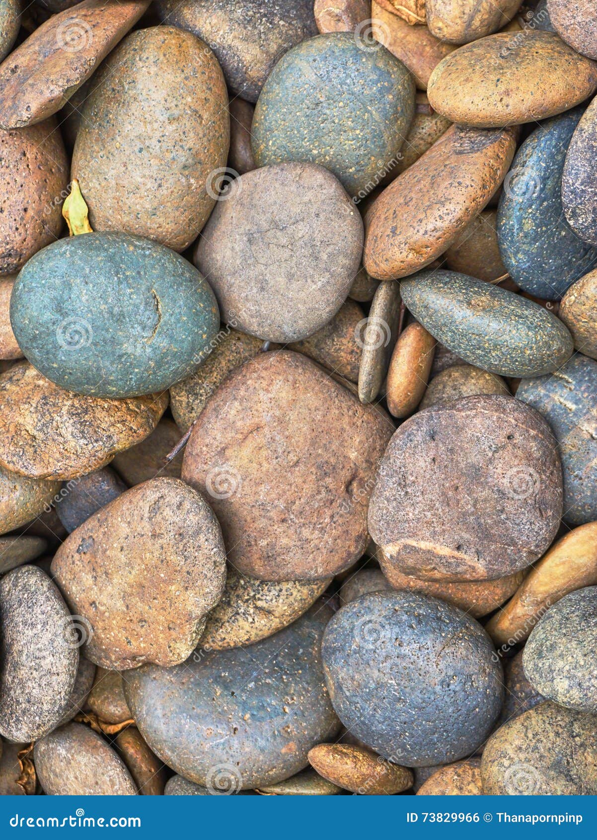 Colorful pebble stock photo. Image of close, pebble, boulder - 73829966