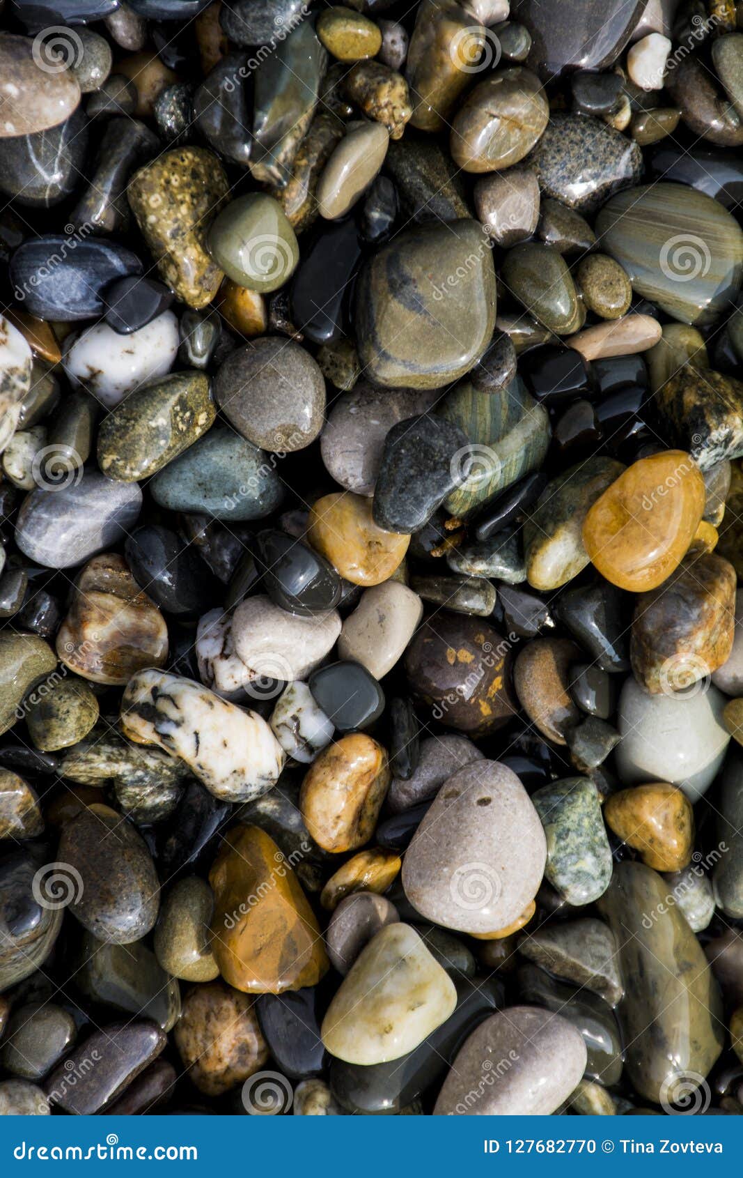 Colorful Pebbles on the Beach Stock Photo - Image of rock, tranquil ...