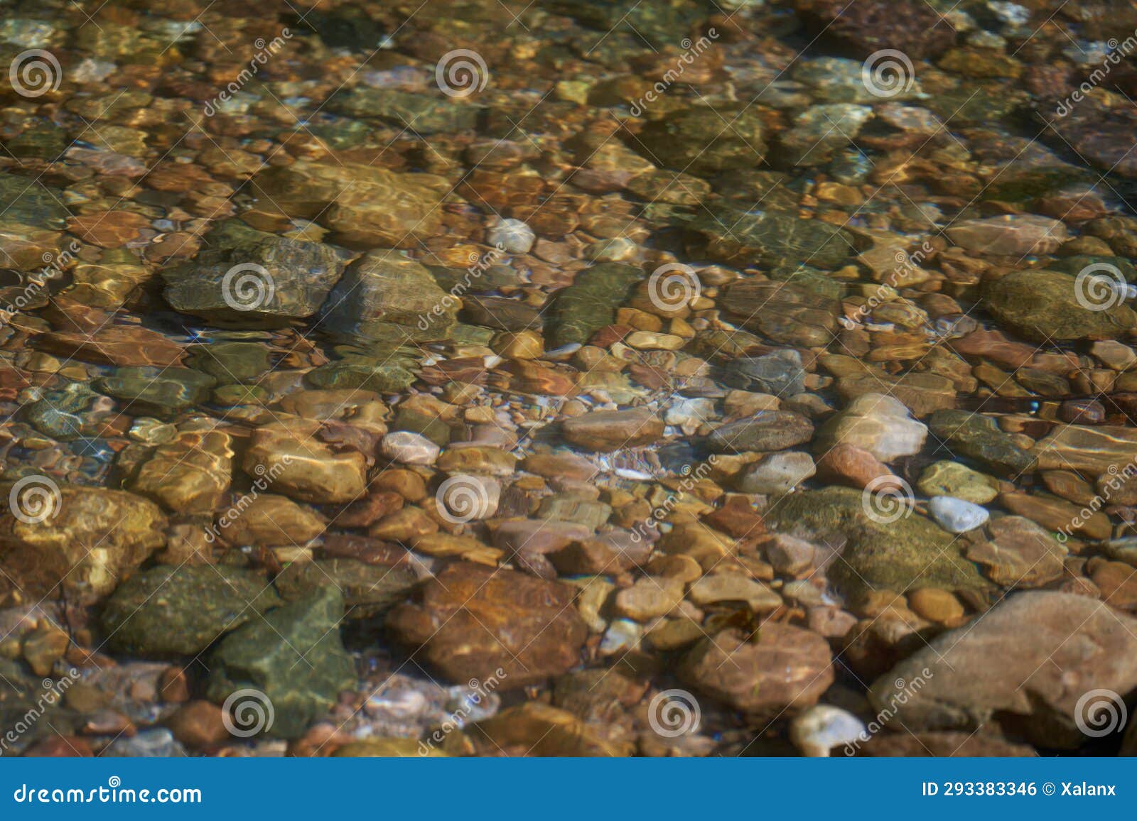 Colorful Pebbles in a River Stock Photo - Image of life, outdoor: 293383346