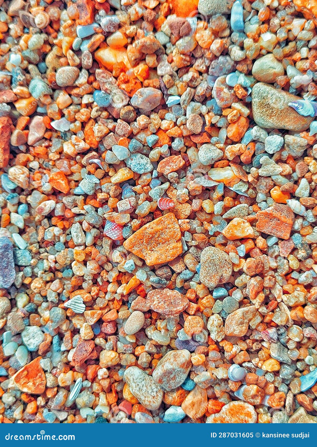 Colorful Pebbles and Small Shells on the Beach. Stock Image - Image of ...