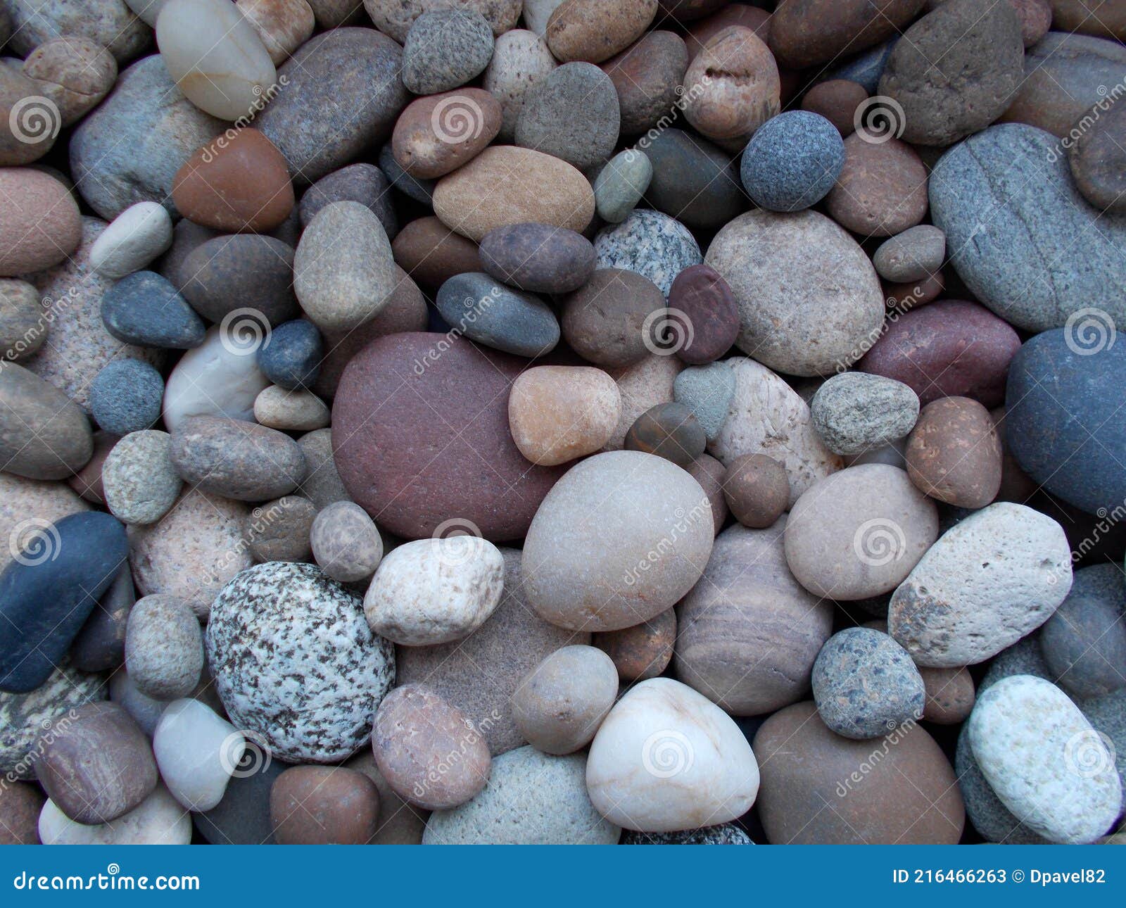 Colorful pebbles stock image. Image of pebble, shore - 216466263