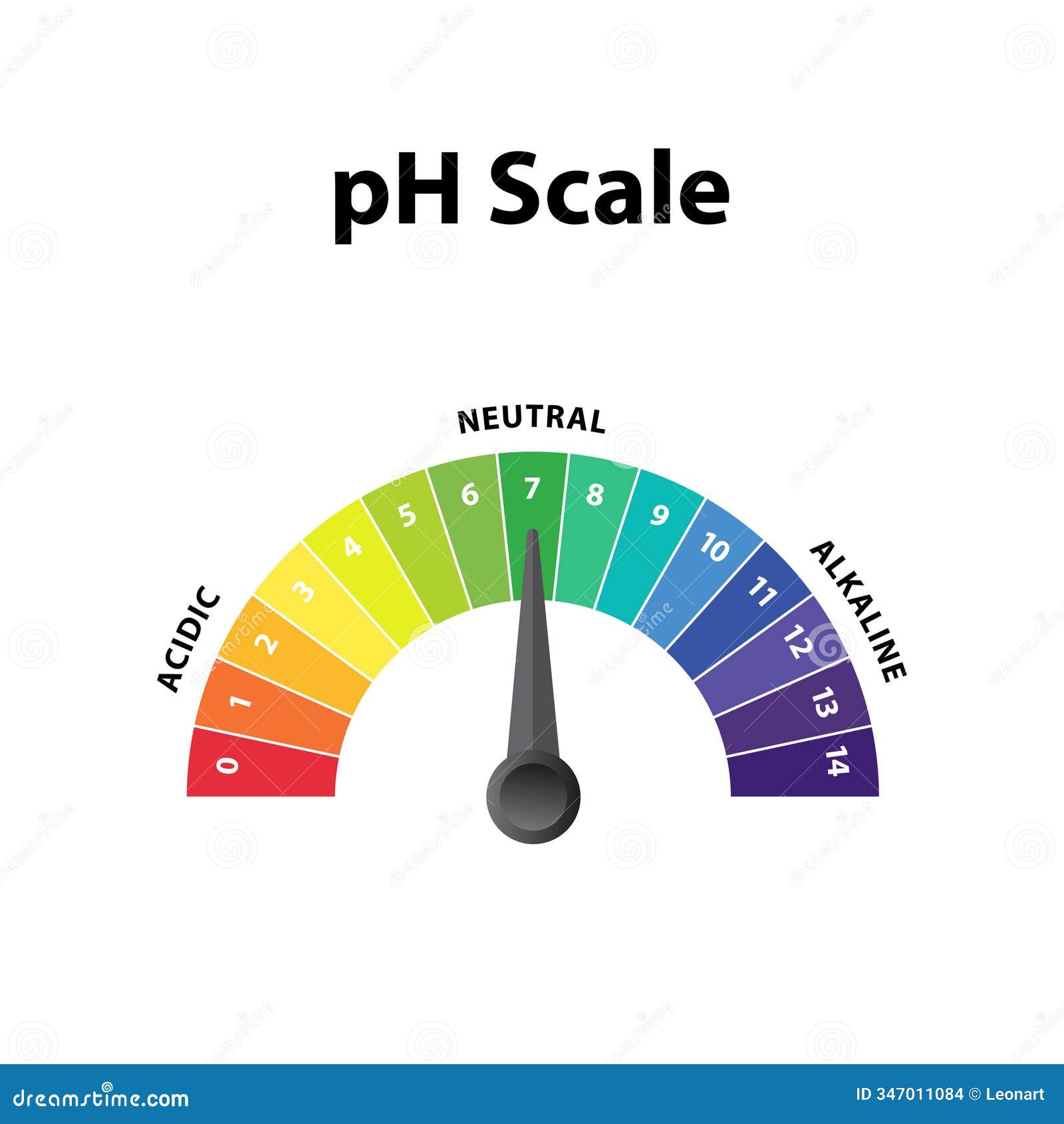 Colorful Ph Level Scale Chart Indicator Diagram Value. Stock ...