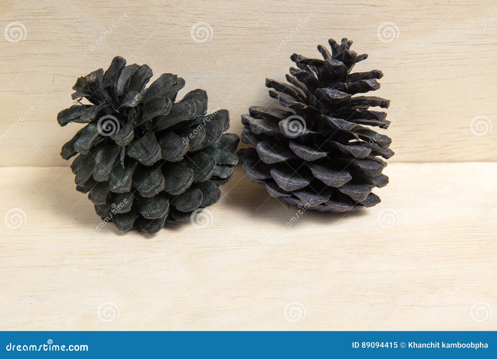 Colorful Pine Cones with Backdrop Stock Image - Image of pine, tree ...