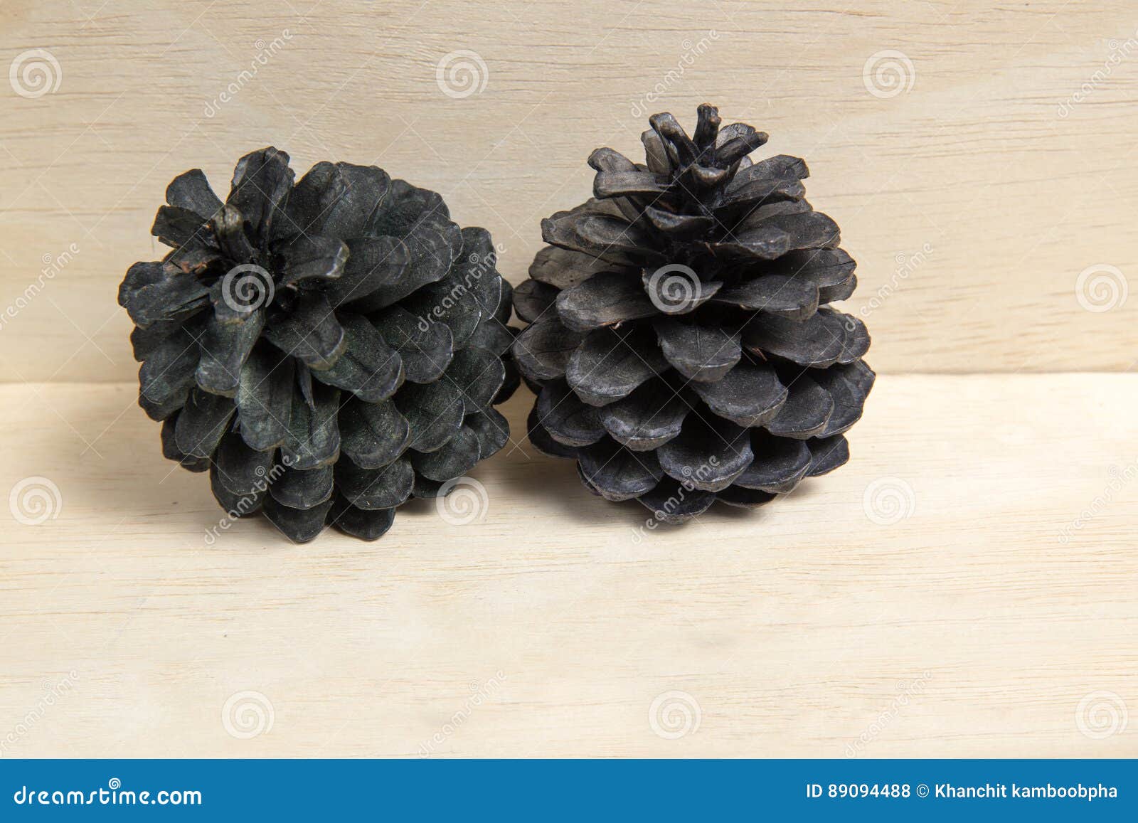 Colorful Pine Cones with Backdrop Stock Photo - Image of pine, cone ...