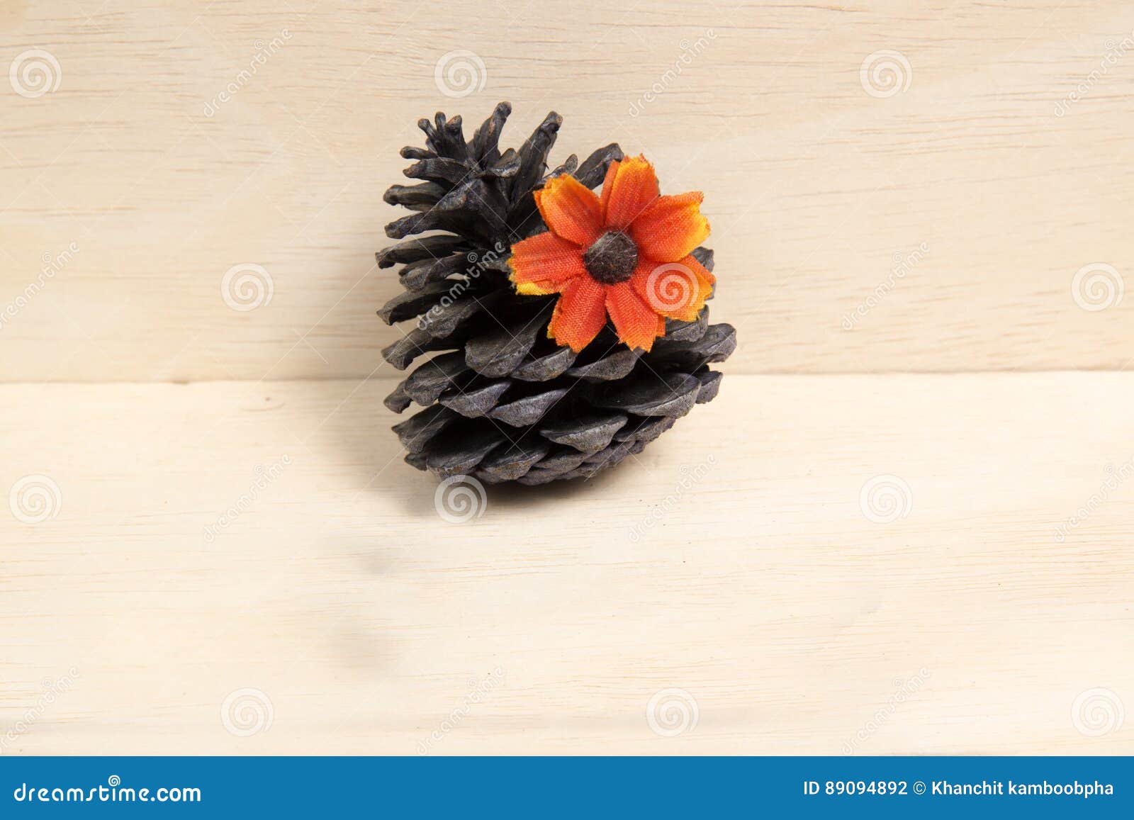 Colorful Pine Cones with Backdrop Stock Photo - Image of pine, backdrop ...