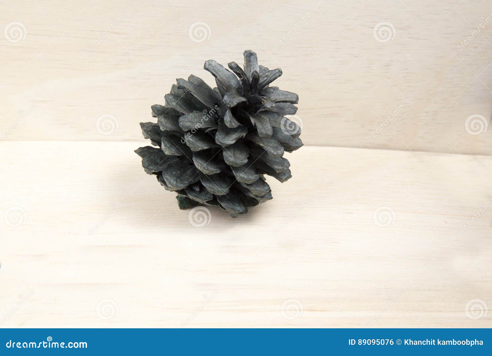 Colorful Pine Cones with Backdrop Stock Photo - Image of flower, nature ...