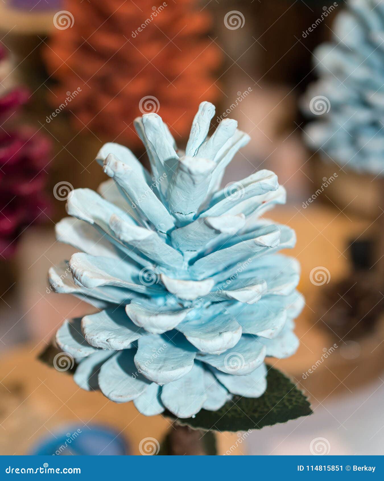 Colorful Pine Cones of the Pine Tree Stock Image - Image of natural ...