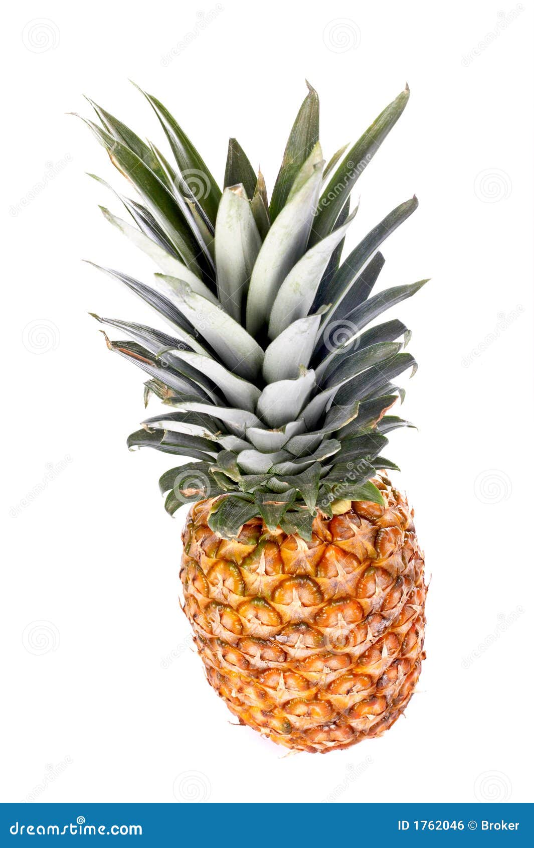 Colorful pineapple stock photo. Image of juicy, health - 1762046