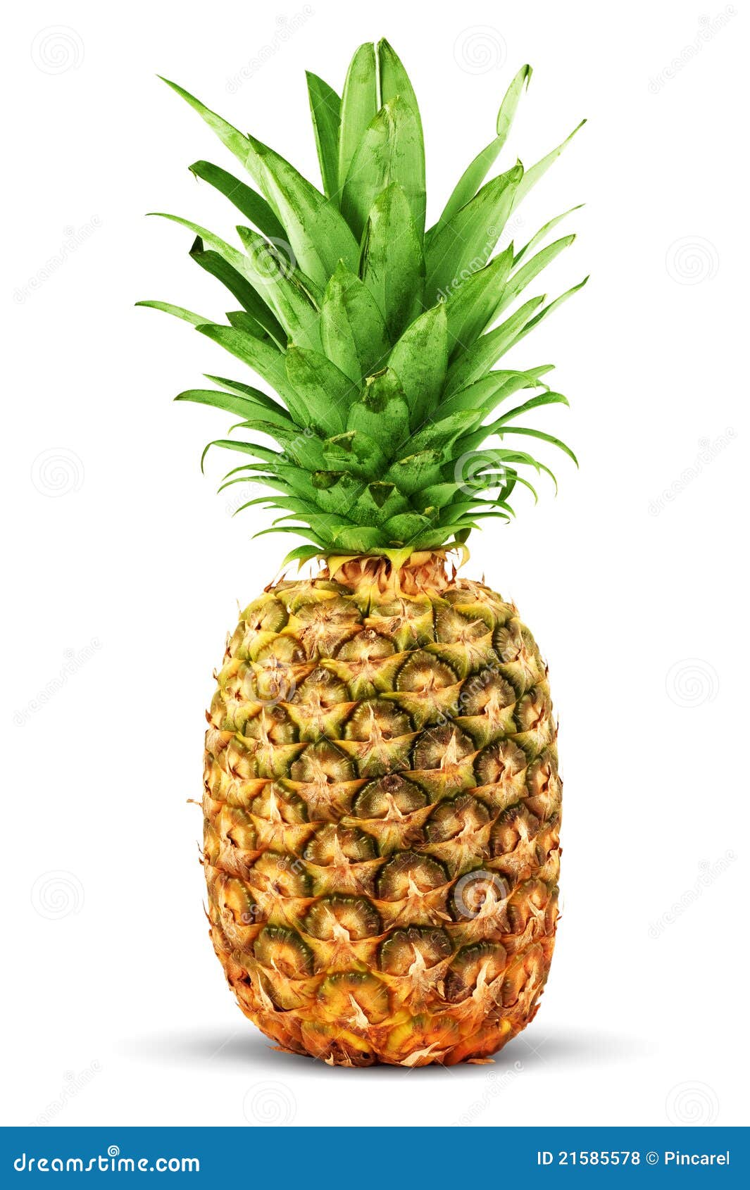 Colorful Pineapple Royalty Free Stock Photos - Image: 21585578