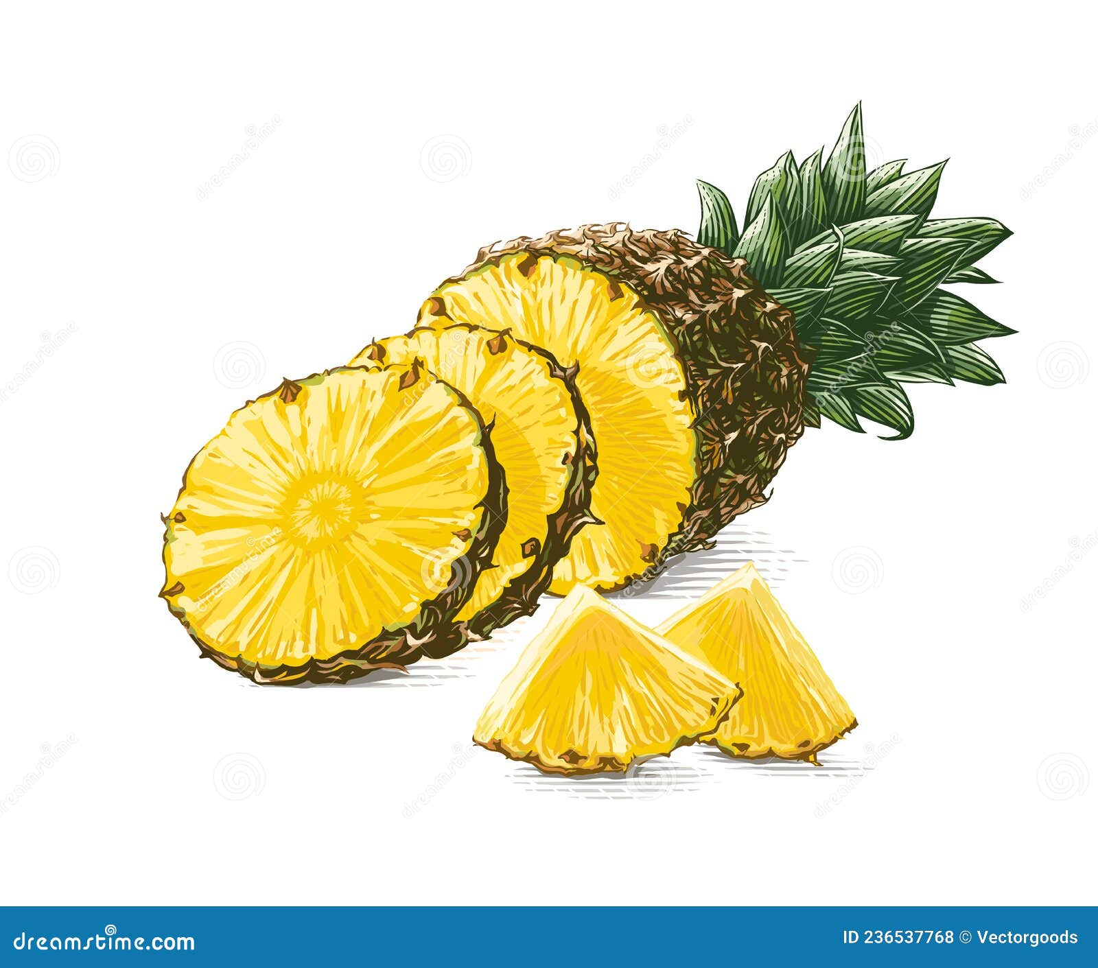 Colorful Pineapple Hand Drawing Sketch Engraving Illustration Style ...