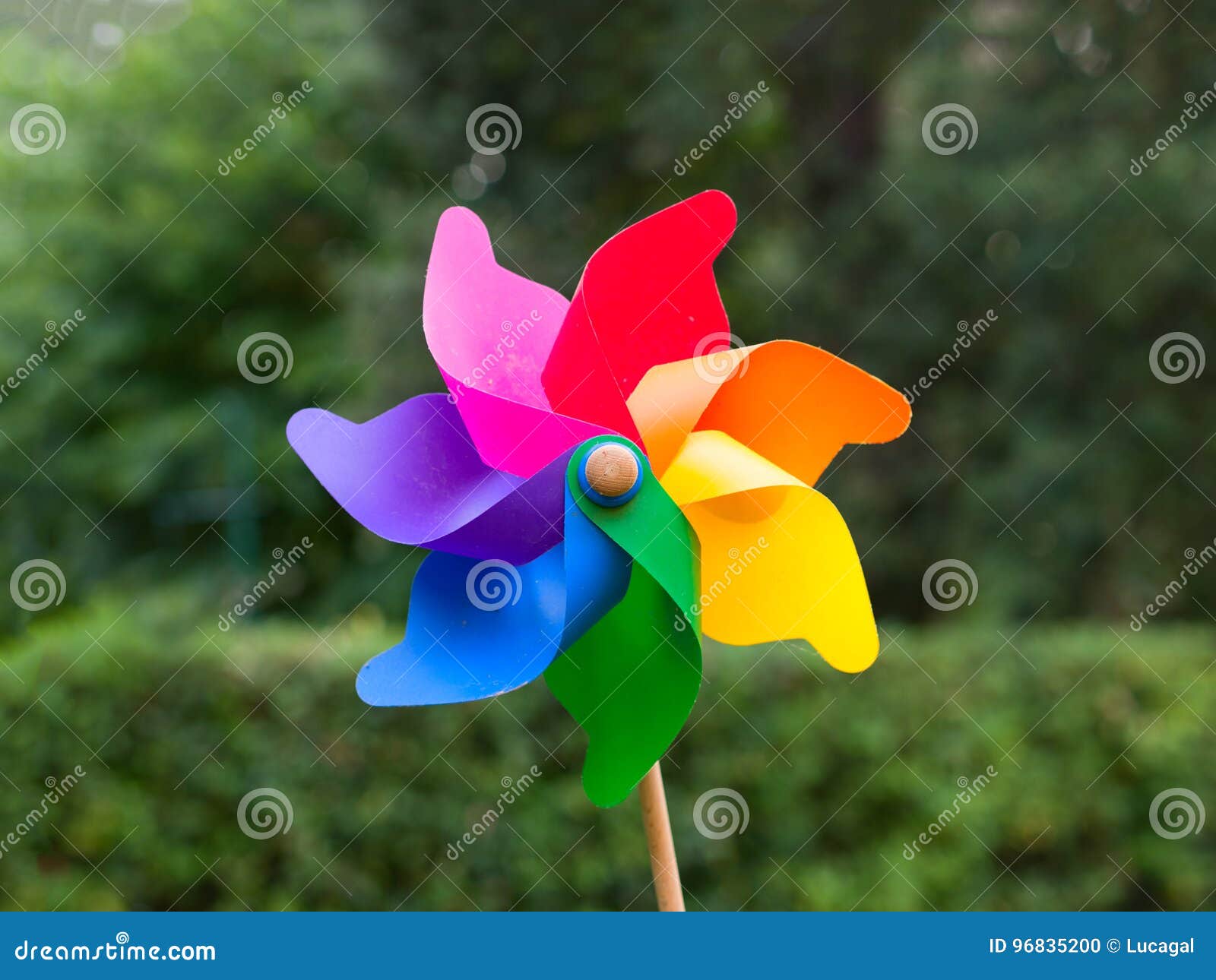 Colorful Pinwheel in a Garden Trees Blurred in Background Stock Photo ...