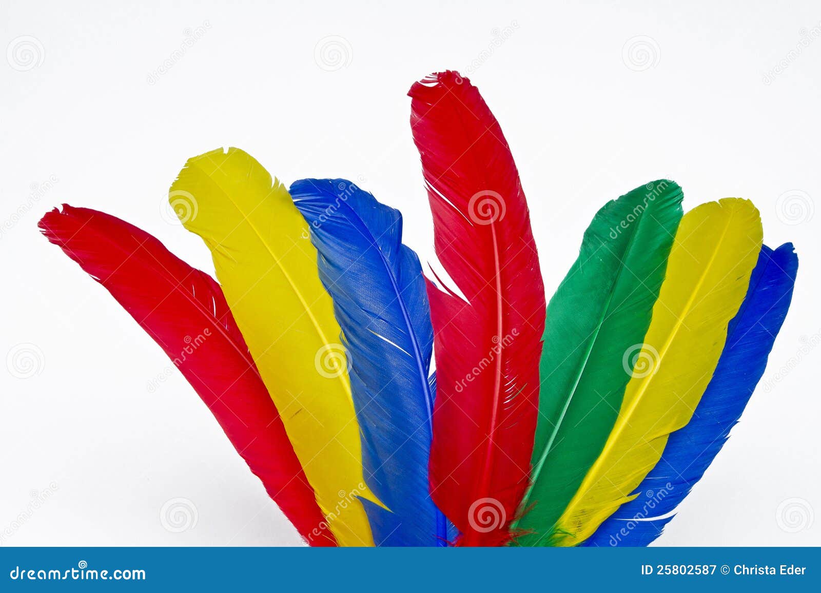 Colorful plumage stock image. Image of feather, scape - 25802587