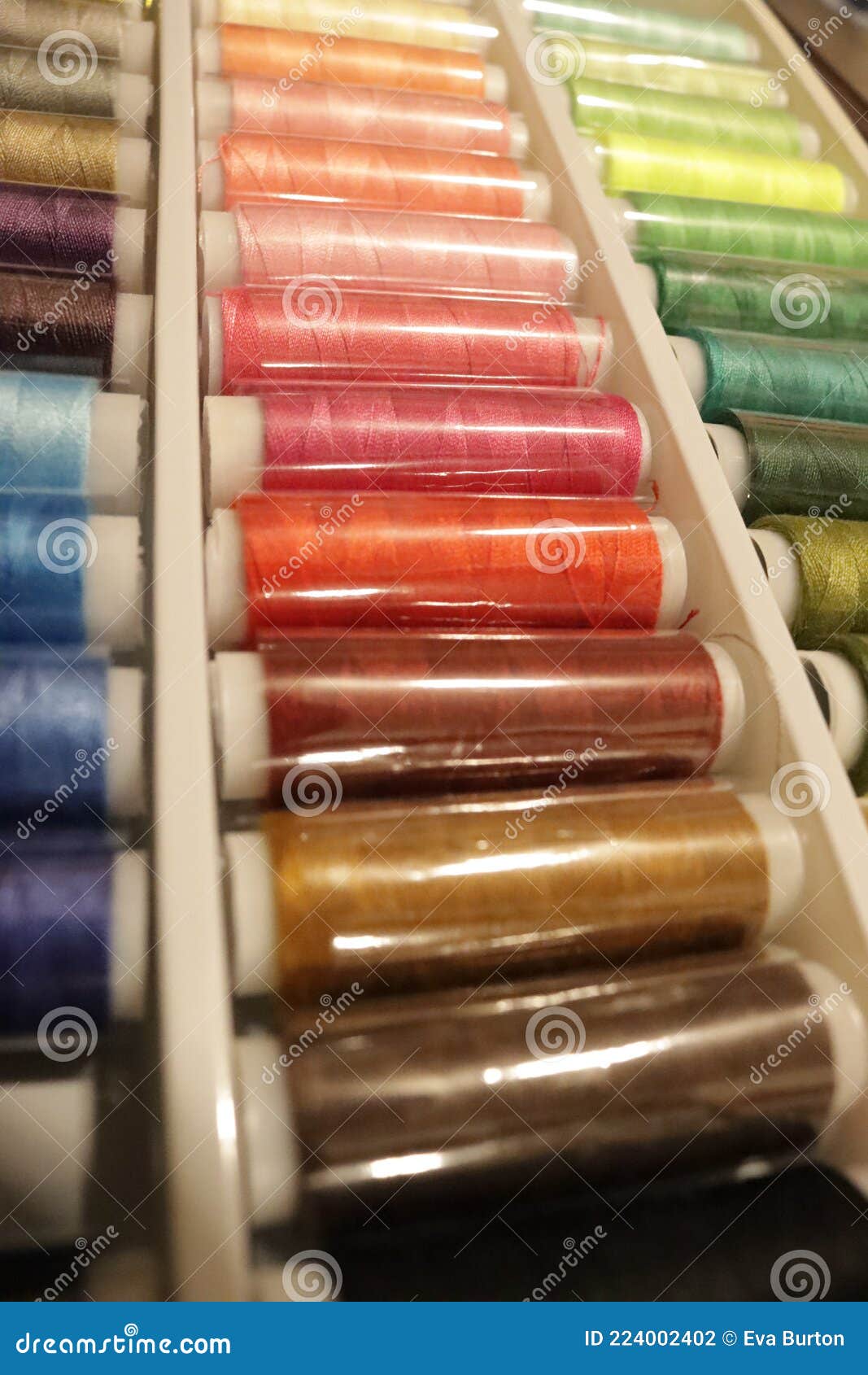 Colorful Polyester Thread stock photo. Image of room - 224002402