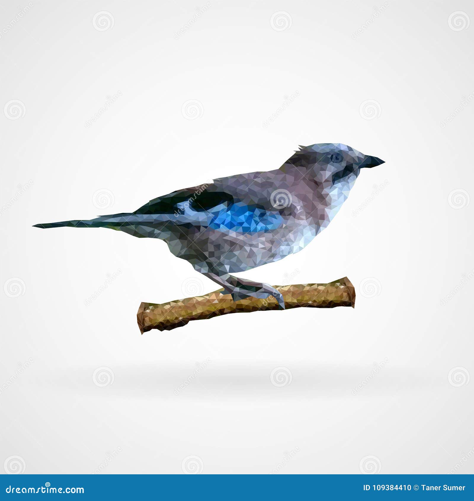 Bird Internal Organs Anatomy Scheme. Watercolor Hand Drawn Illustration ...