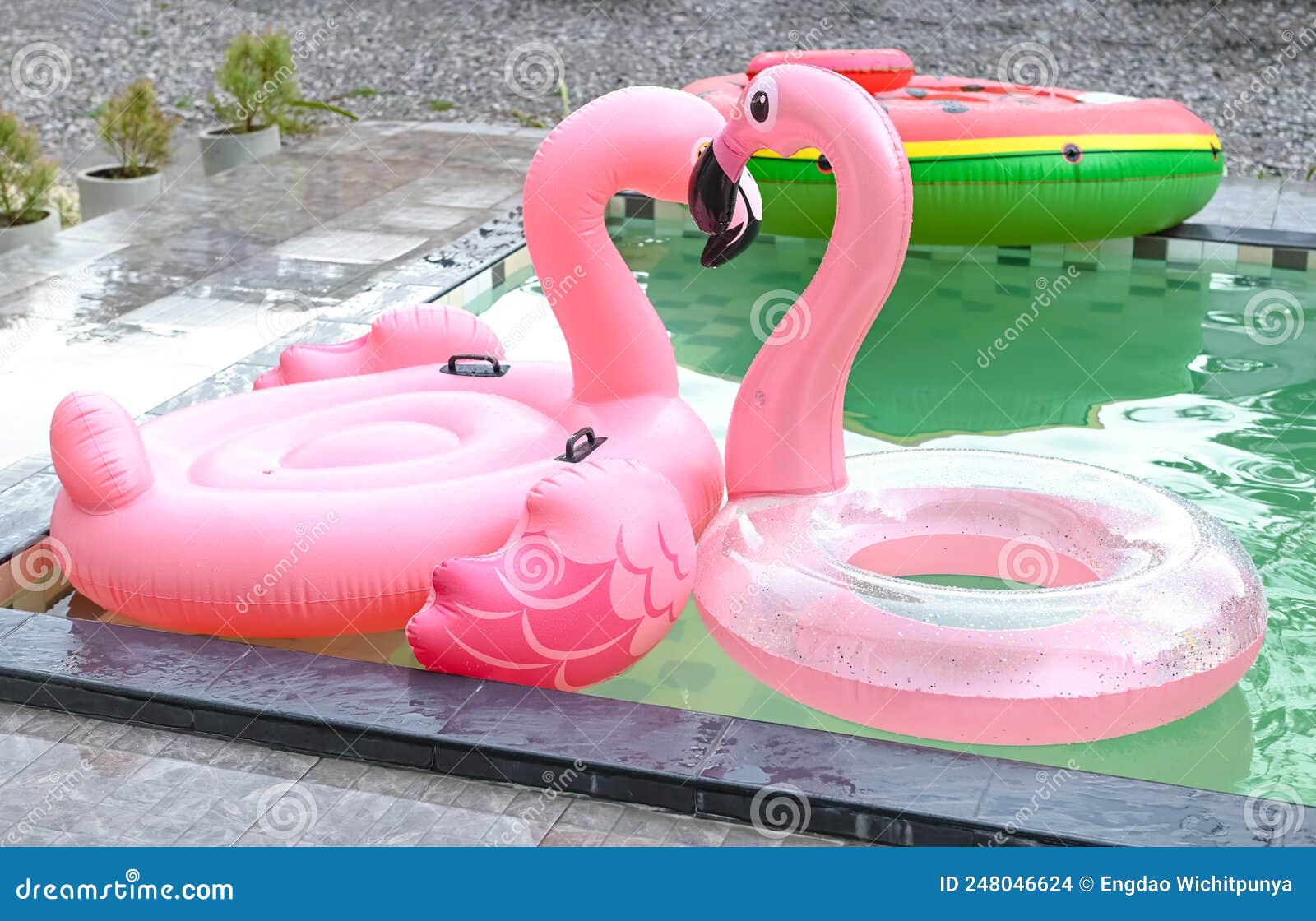 Colorful Pool Float, Pink Ring Floating on the Swimming Pool, Pool ...