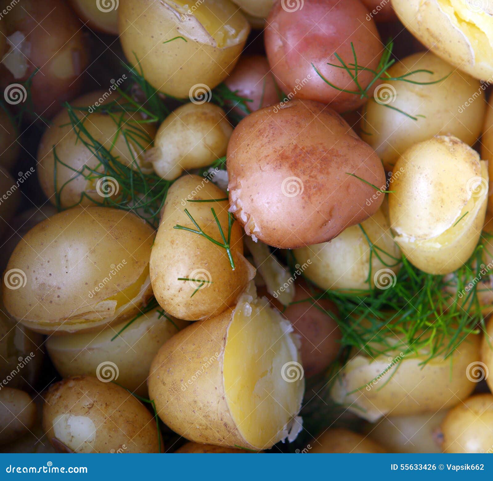 Colorful potatoes. stock photo. Image of potato, cooking - 55633426
