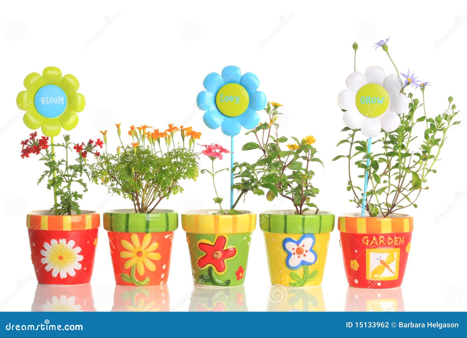 Colorful Pots with Pretty Flowers Stock Photo - Image of green, annuals ...