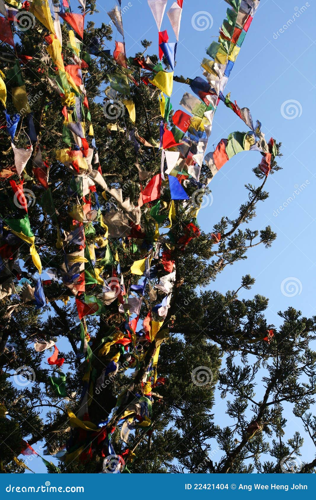Colorful Prayer Flags stock photo. Image of nepal, high - 22421404